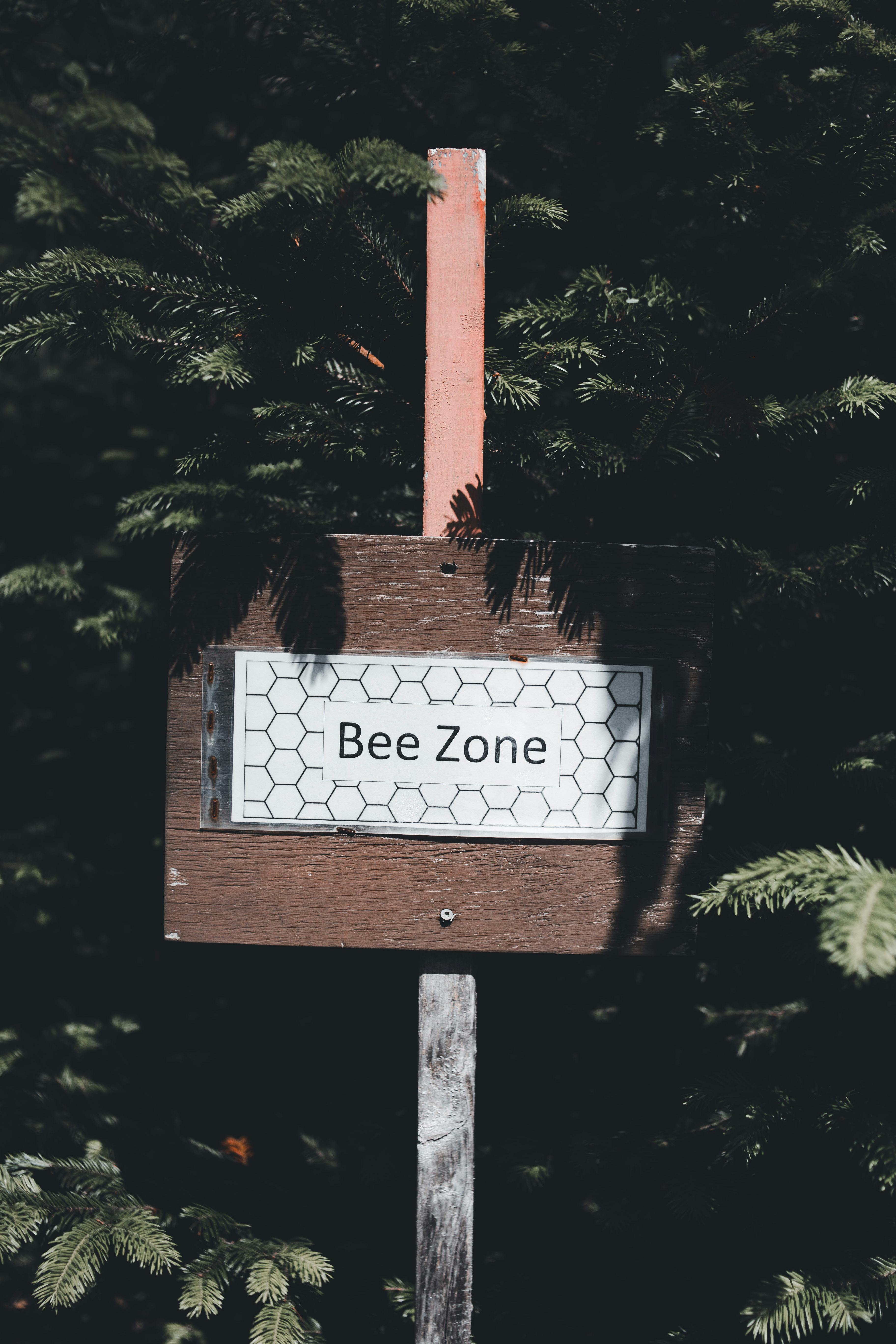 Bee Zone Photos, Download The BEST Free Bee Zone Stock Photos & HD Images