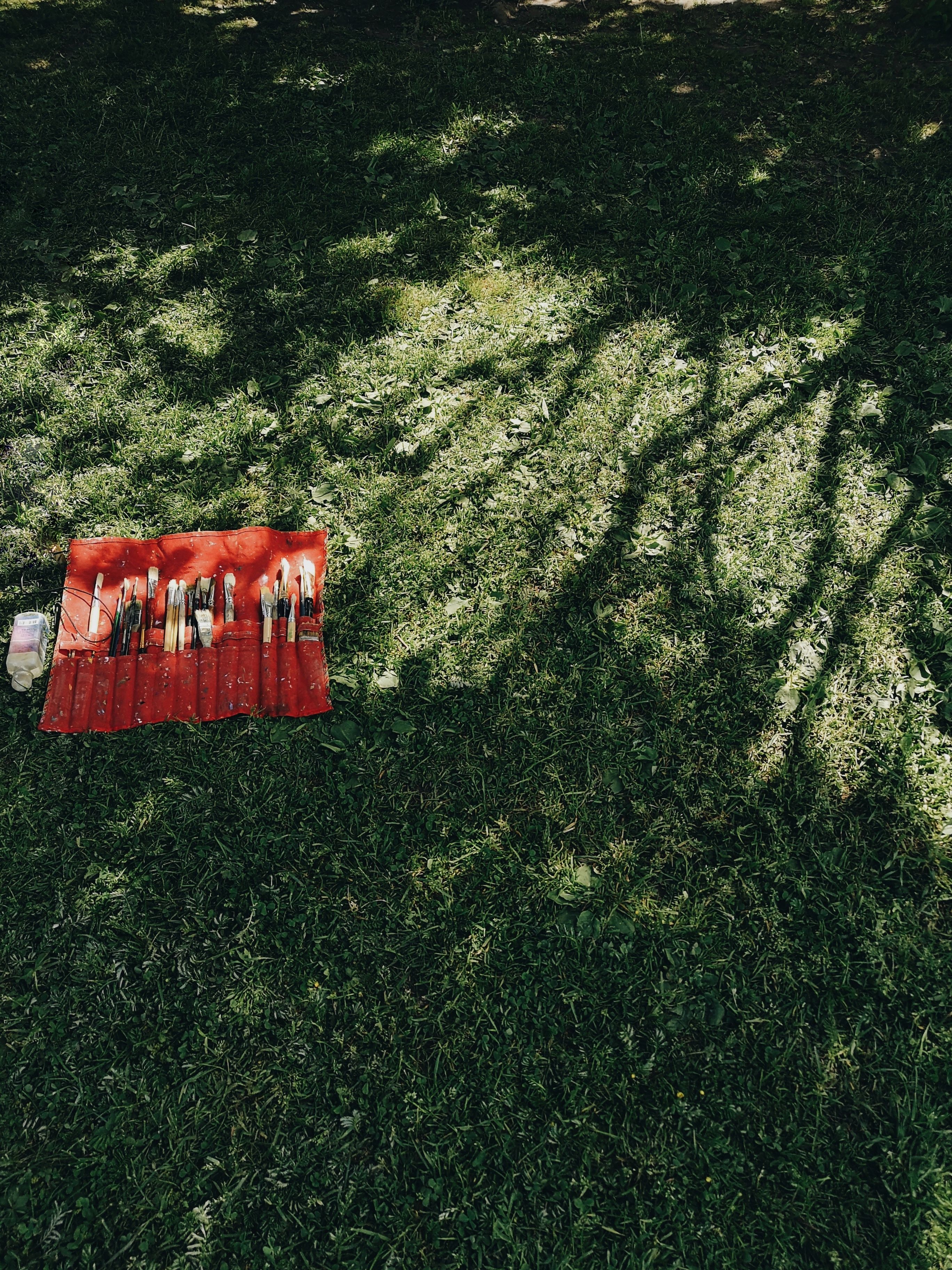 Shadows on Grass Field · Free Stock Photo