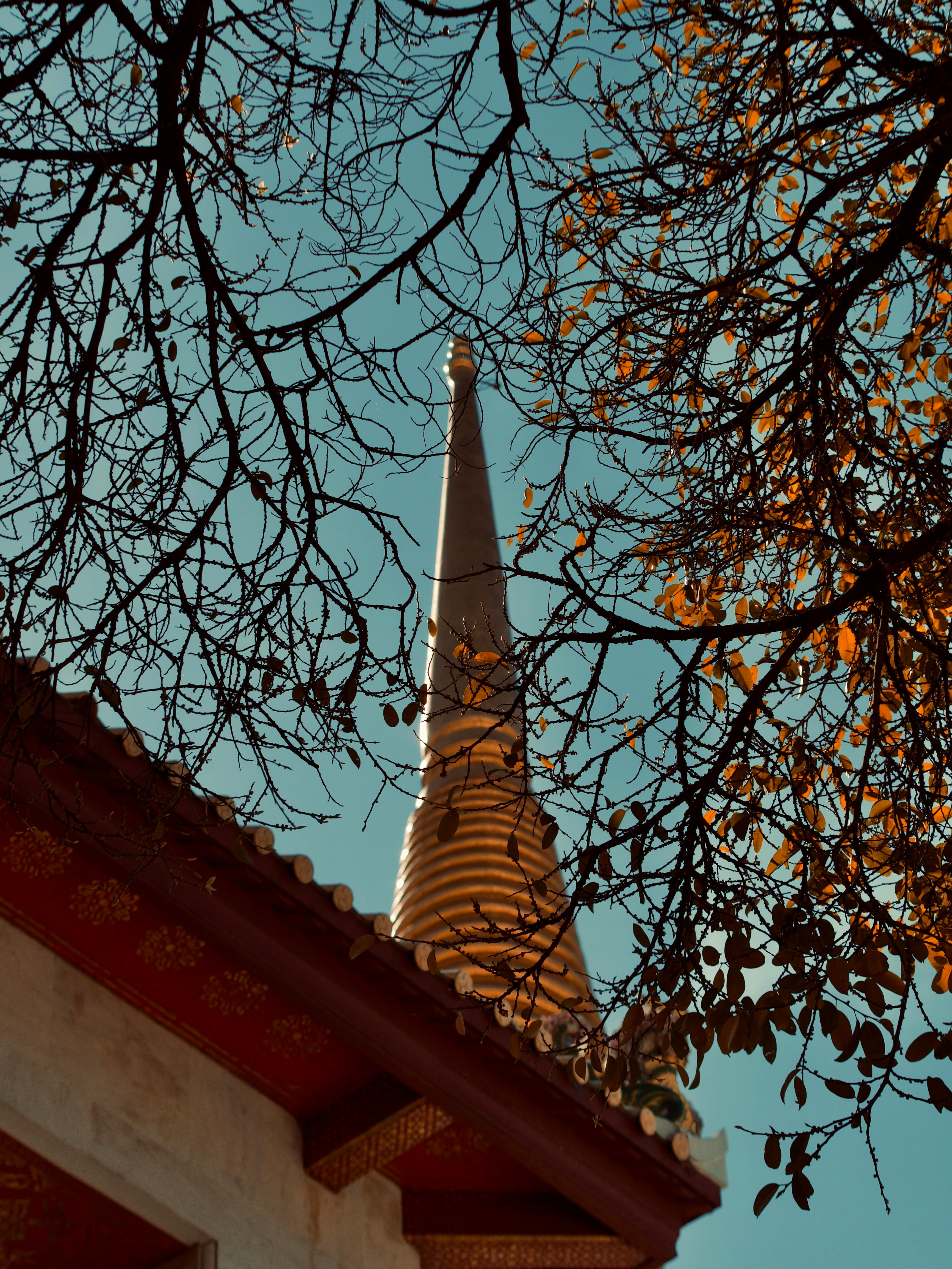 Temple Tower in Autumn · Free Stock Photo