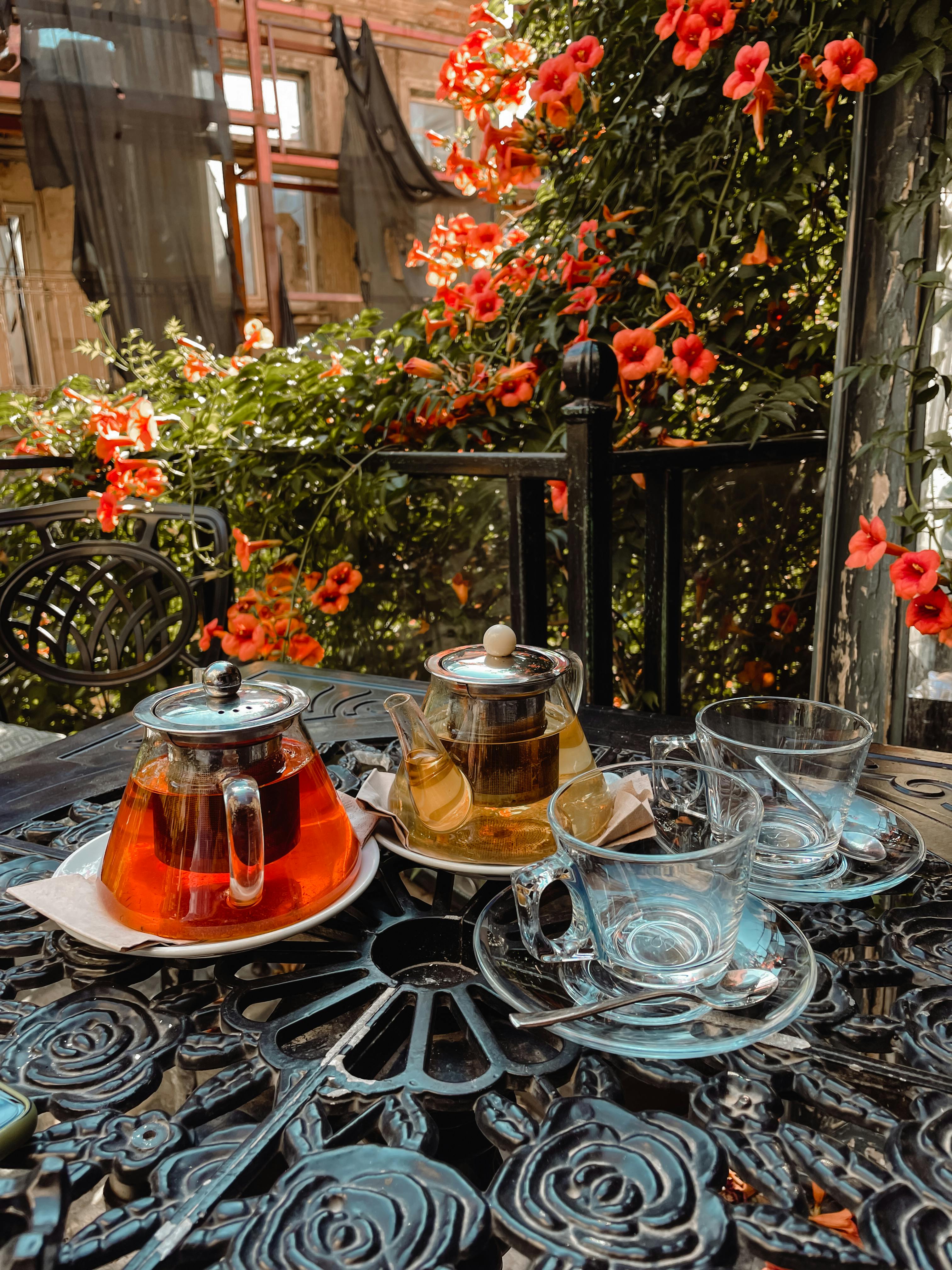 A Glass of Hot Tea · Free Stock Photo