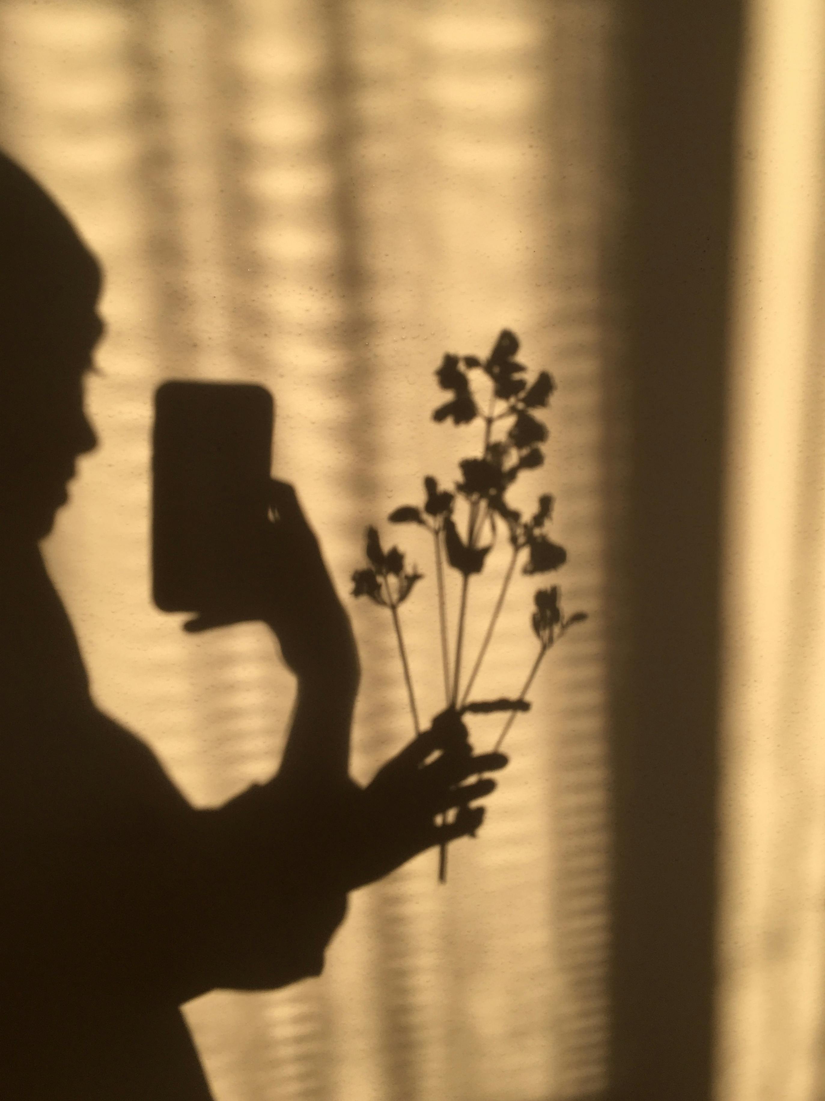 Shadow of Woman with Flower Taking Picture with Mobile · Free Stock Photo