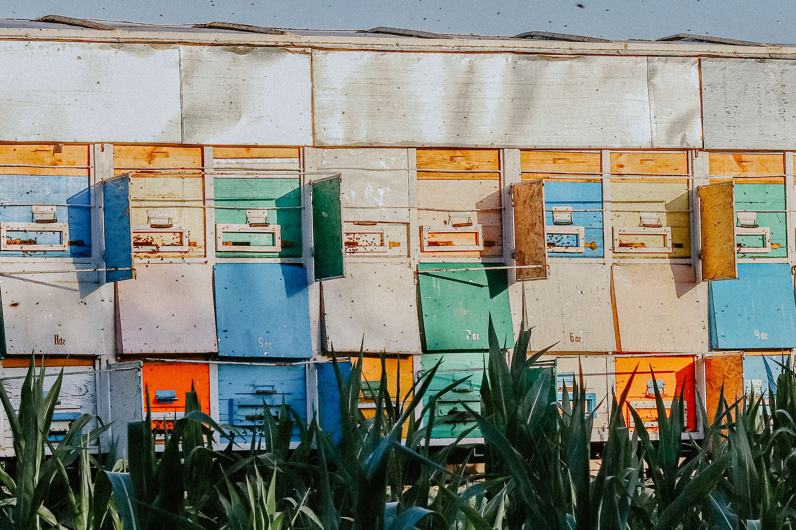 Beehives Photos, Download The BEST Free Beehives Stock Photos & HD Images