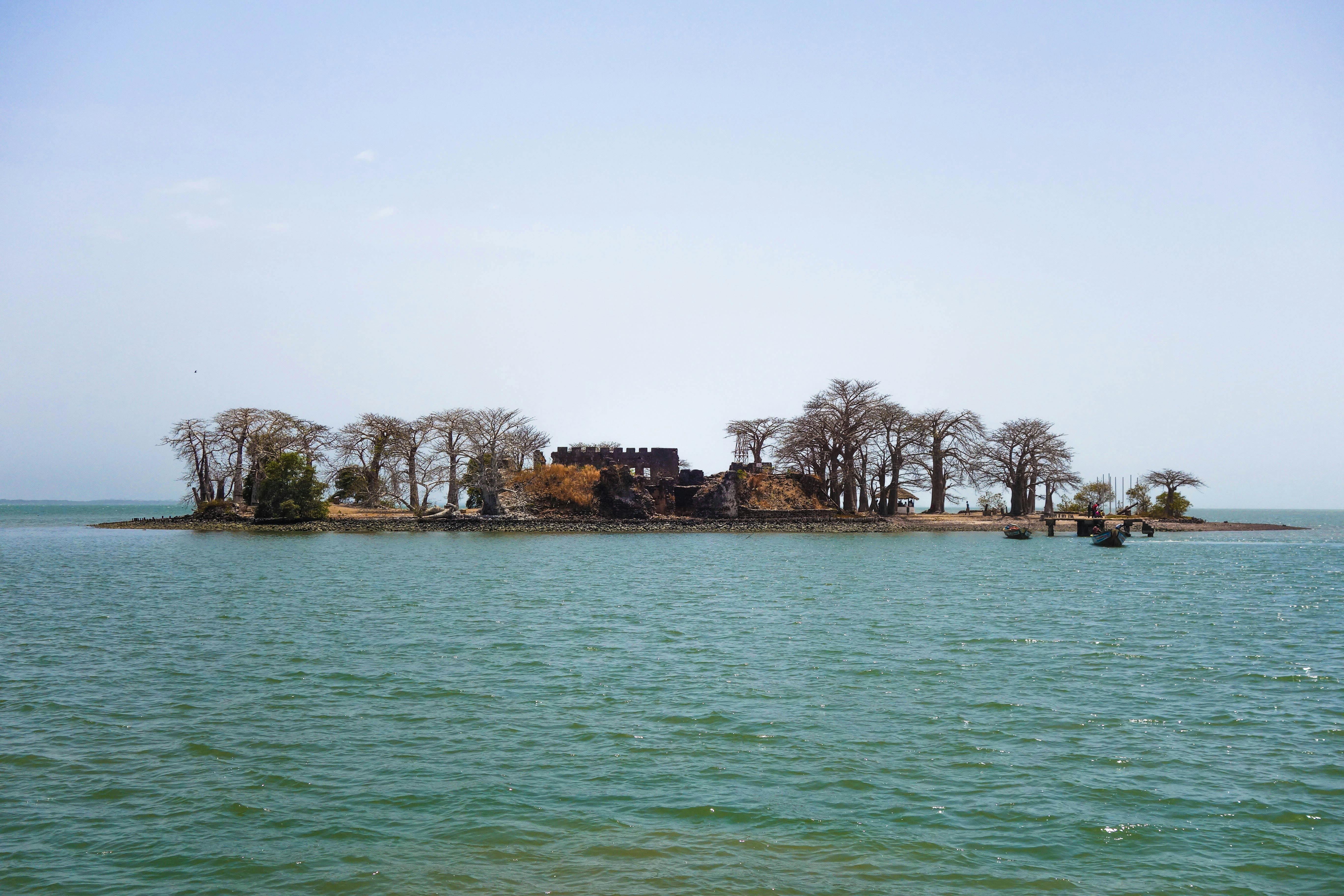 Old Ruins and Trees on an Island · Free Stock Photo