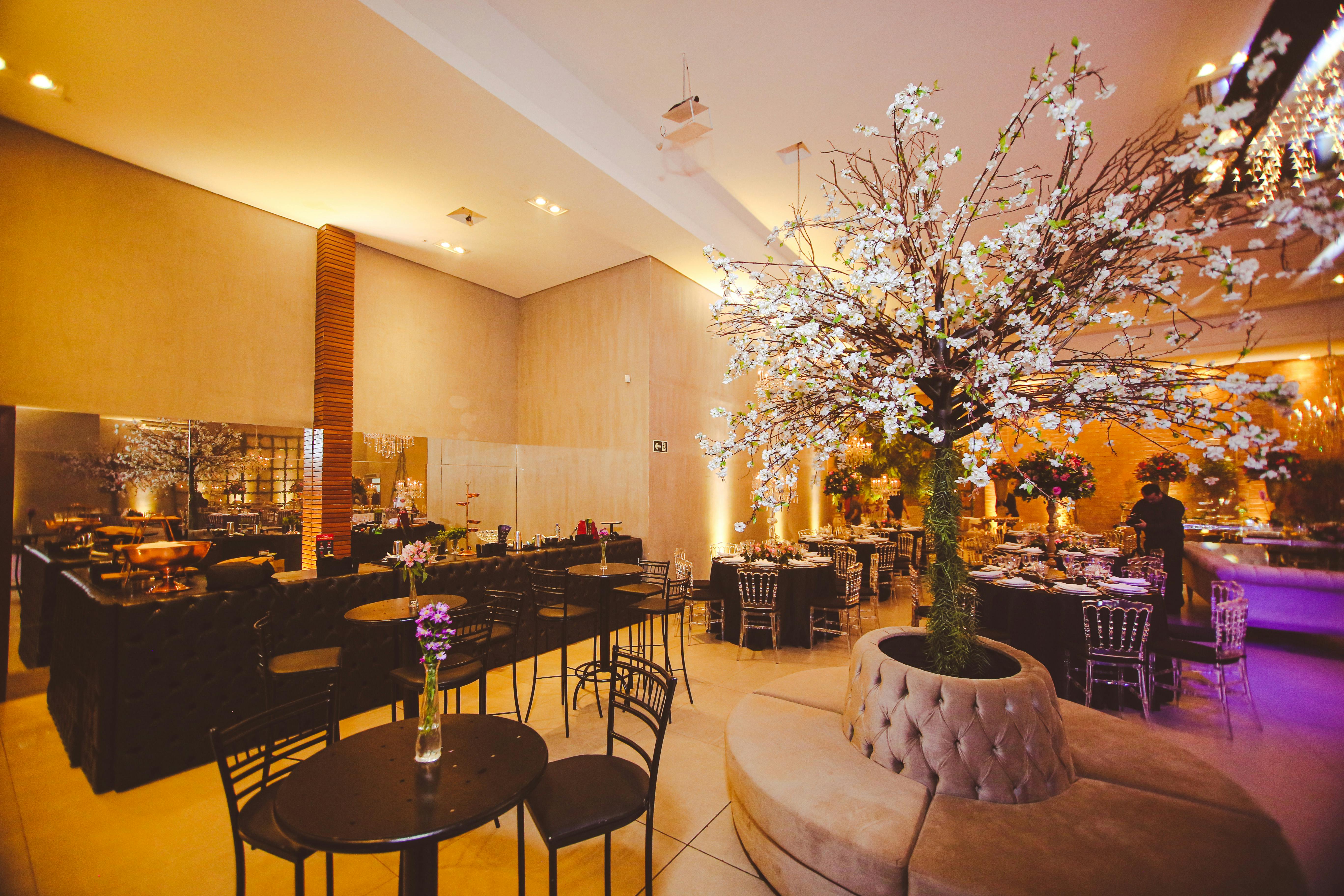 Small Tree Blossoming Inside an Illuminated Restaurant · Free Stock Photo