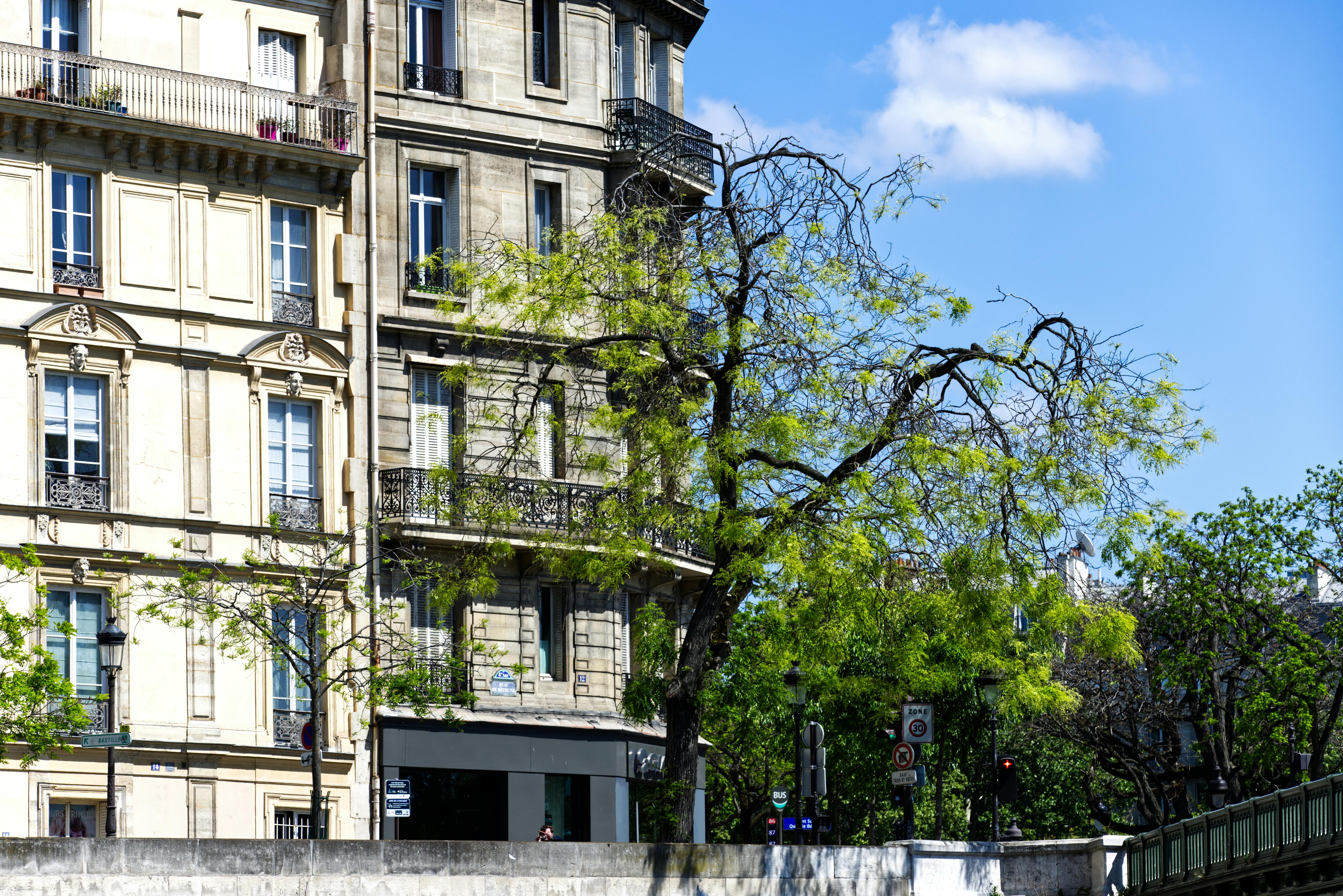 A Tree near a Brown Concrete Building · Free Stock Photo