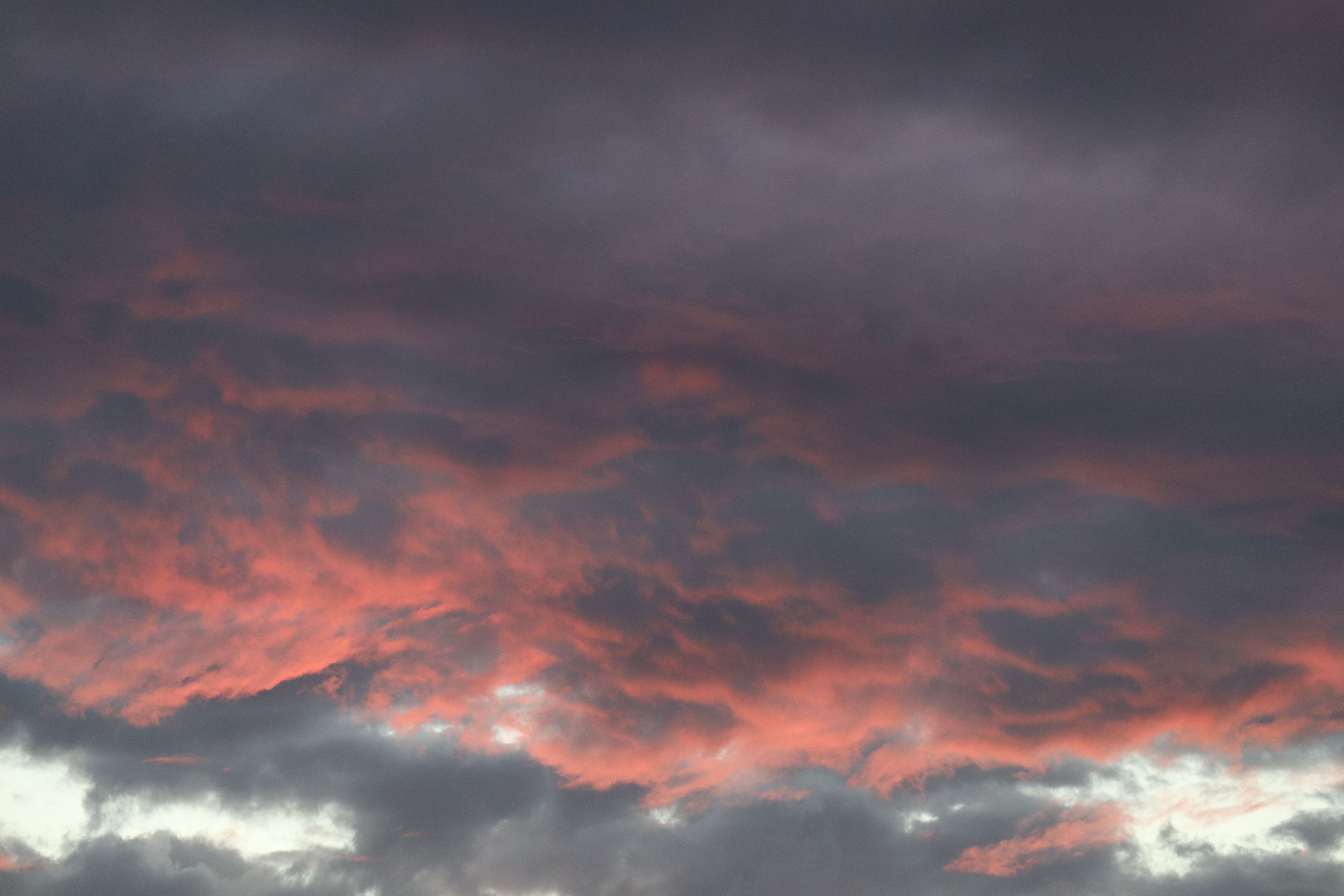 A Clouds Covering the Sky · Free Stock Photo