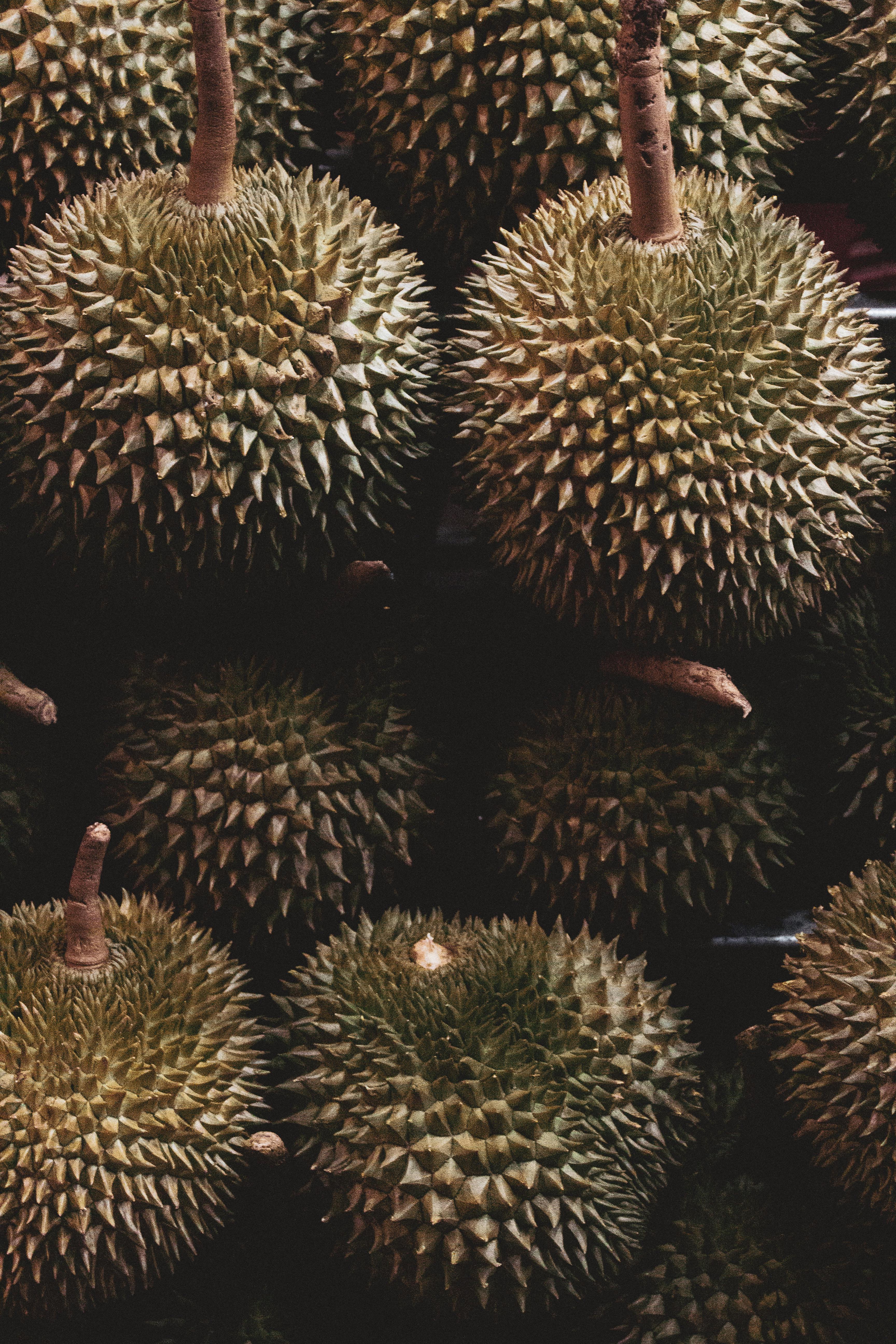 Close Up Shot of a Durian Fruits · Free Stock Photo