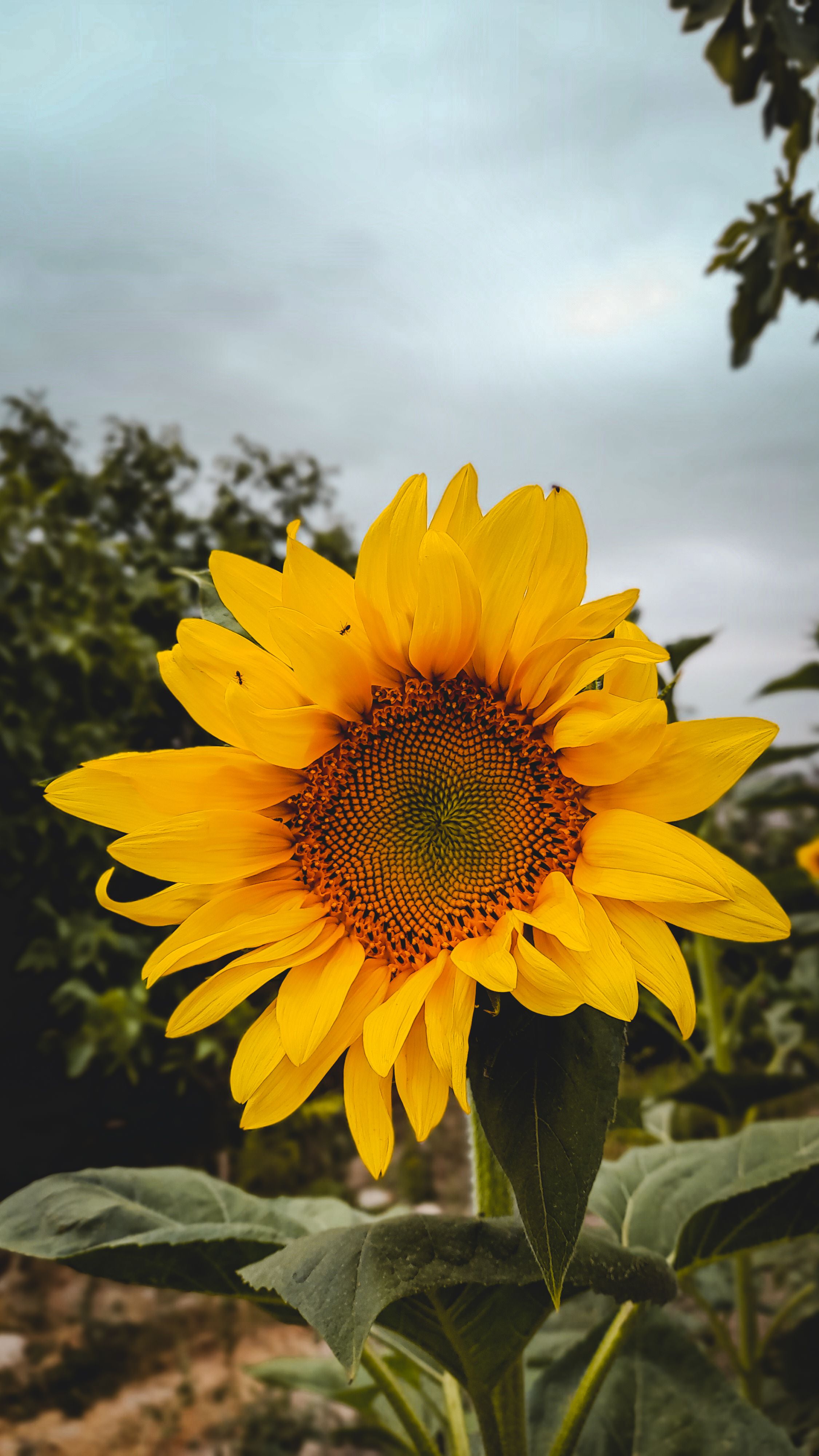 Mahdi Mah - Photography