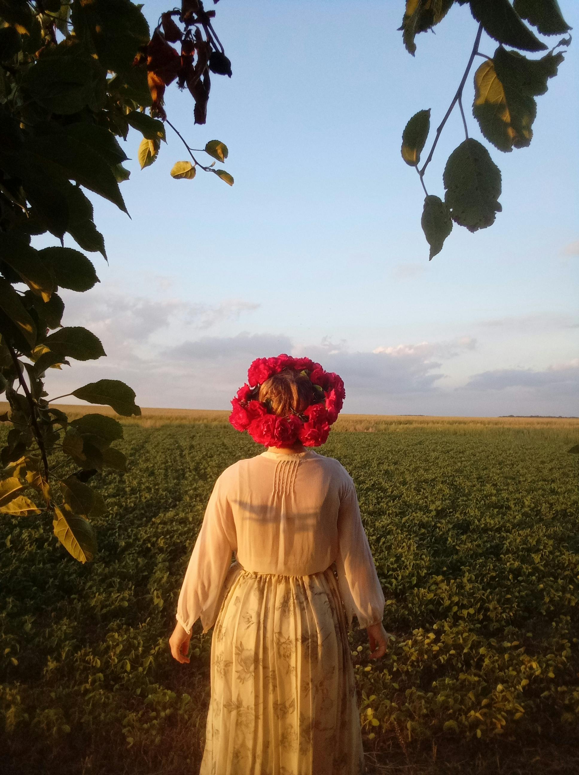 Back View of a Woman with Flowers on Her Hair · Free Stock Photo
