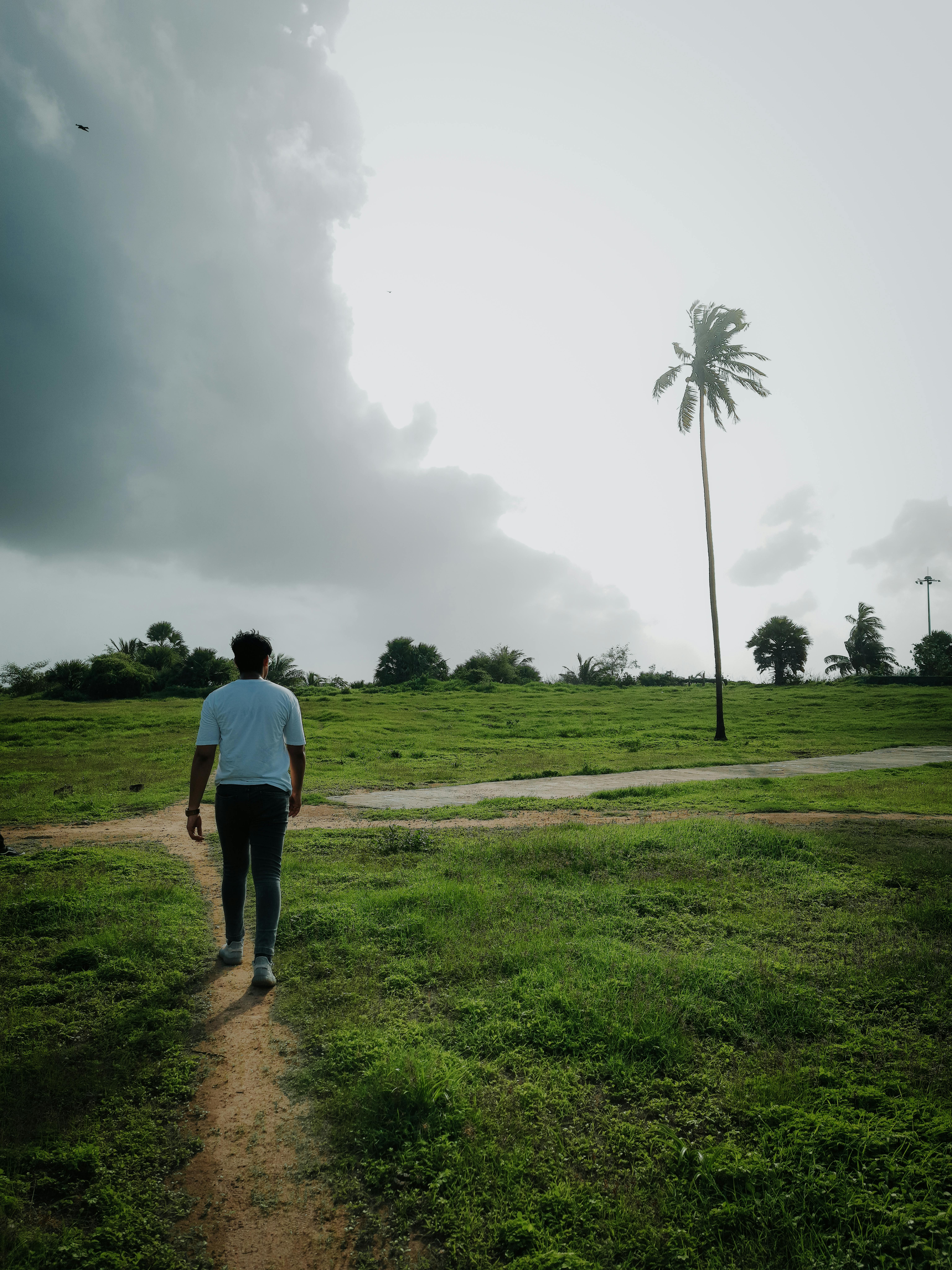 Man Walking on Path in Green Forest · Free Stock Photo