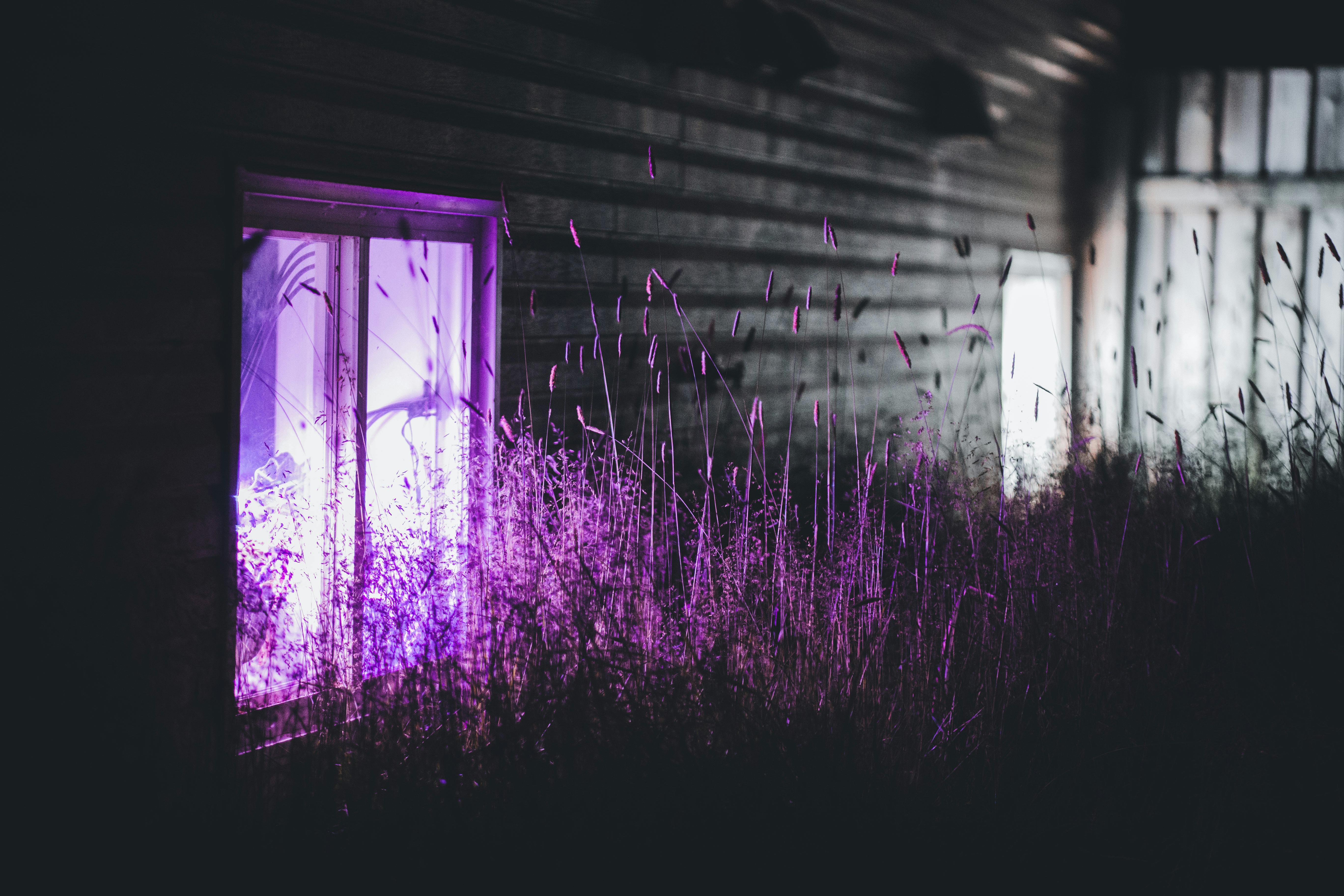 Photo of a Wooden House with Violet Illuminated Window at Night · Free ...