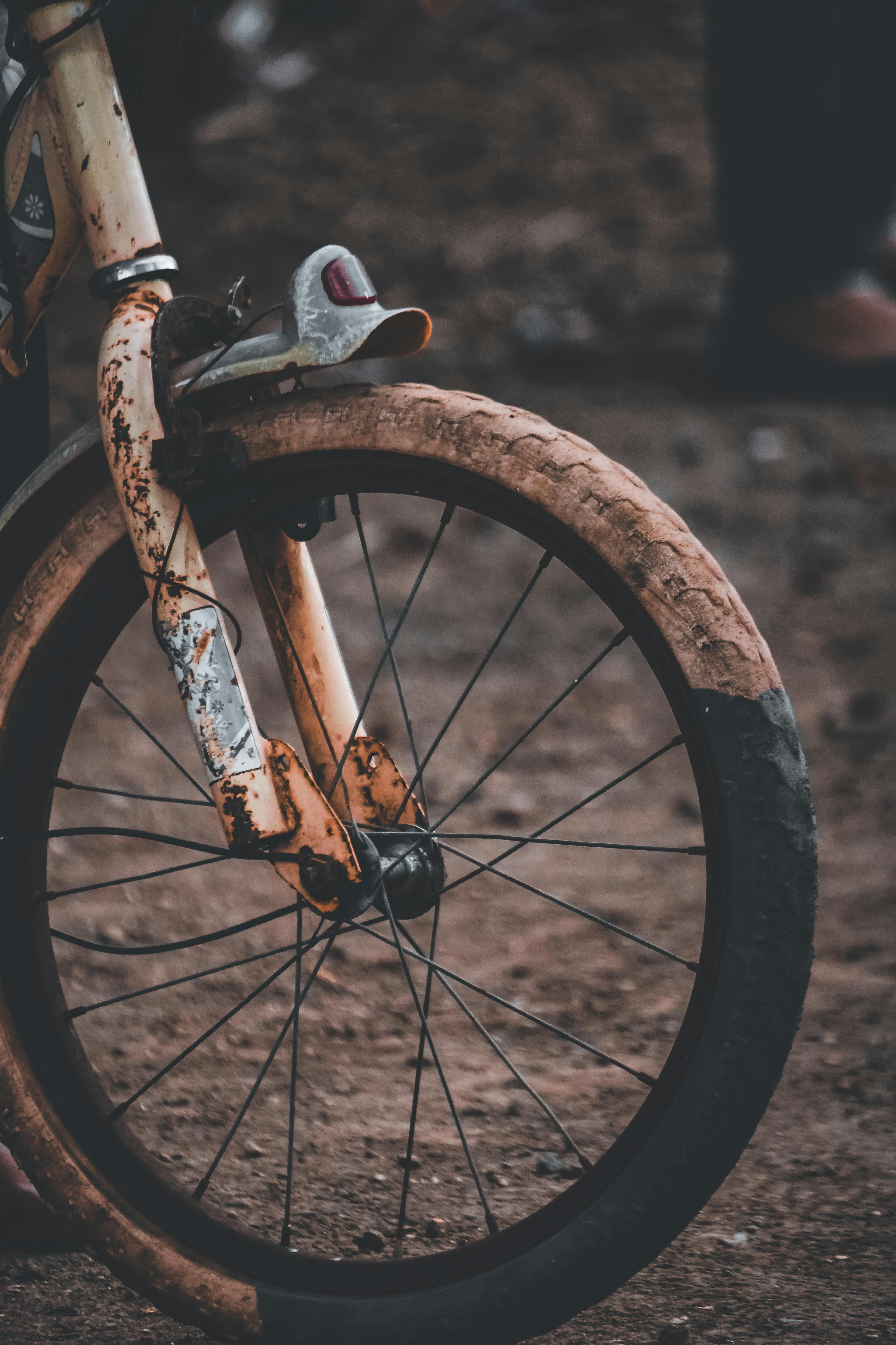 Rusting Bike Photos, Download The BEST Free Rusting Bike Stock Photos ...