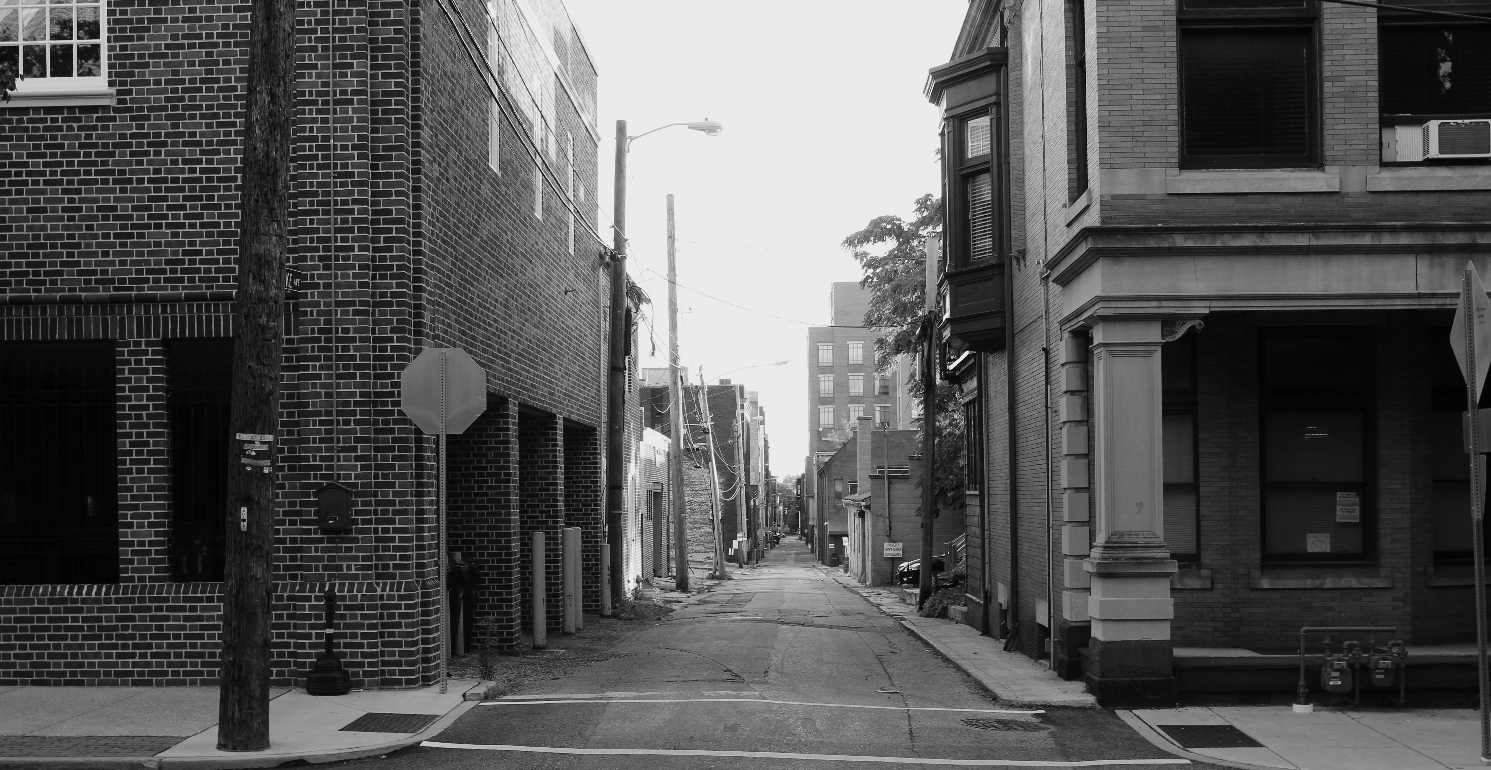 Terry Hawkins - Photographie