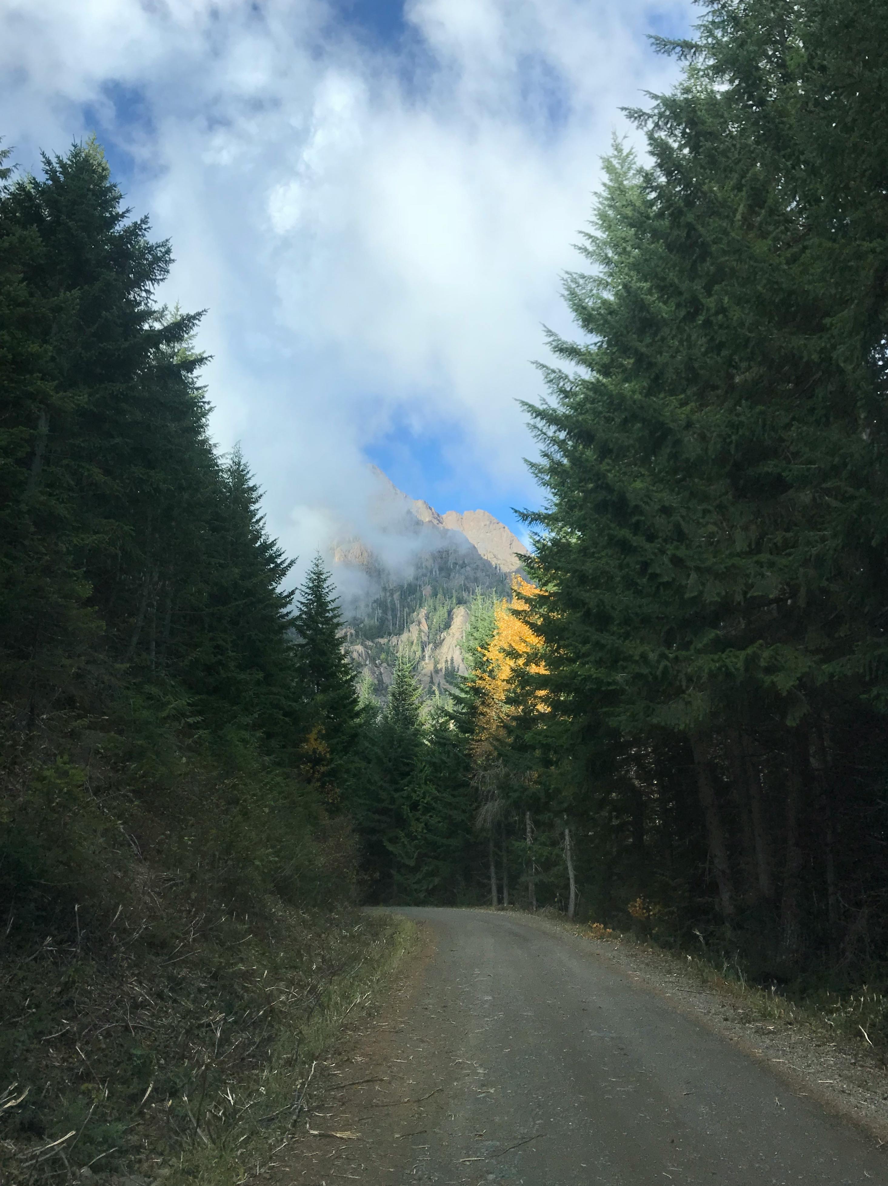 Paved Pathway With Pennant Banners · Free Stock Photo