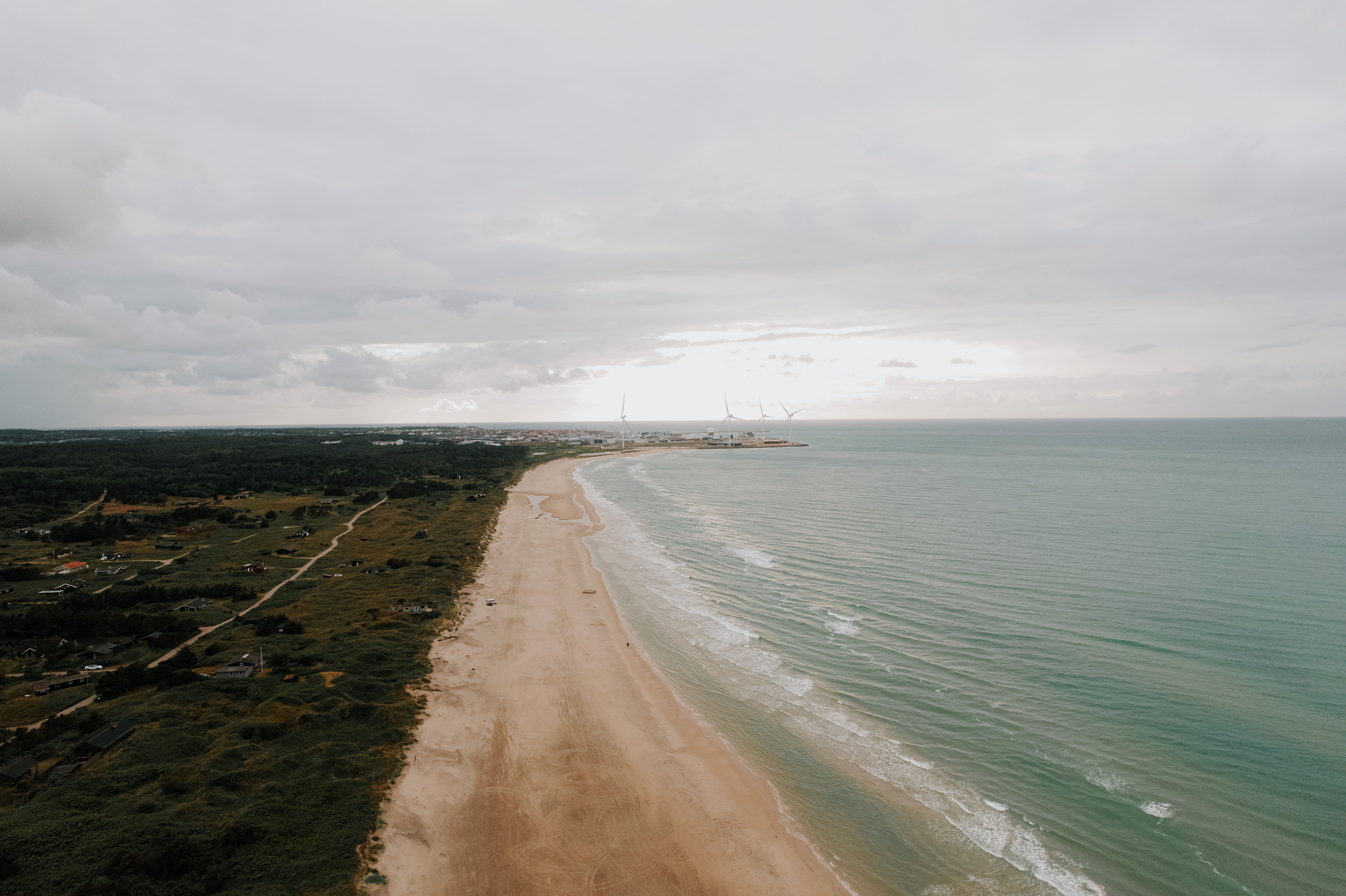 Aerial View of Sandy Beach · Free Stock Photo
