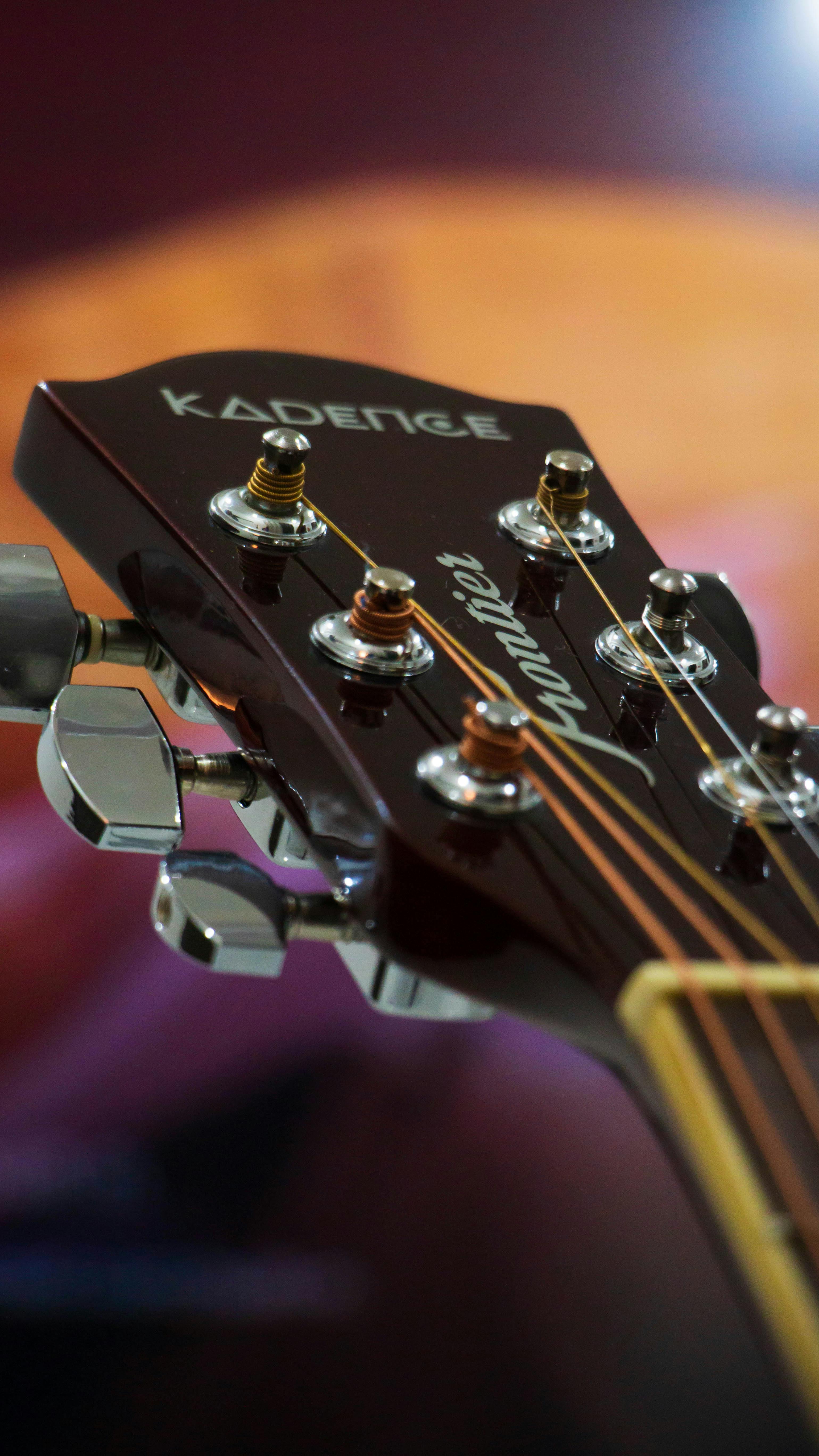 Tuning Head Photos, Download The BEST Free Tuning Head Stock Photos ...