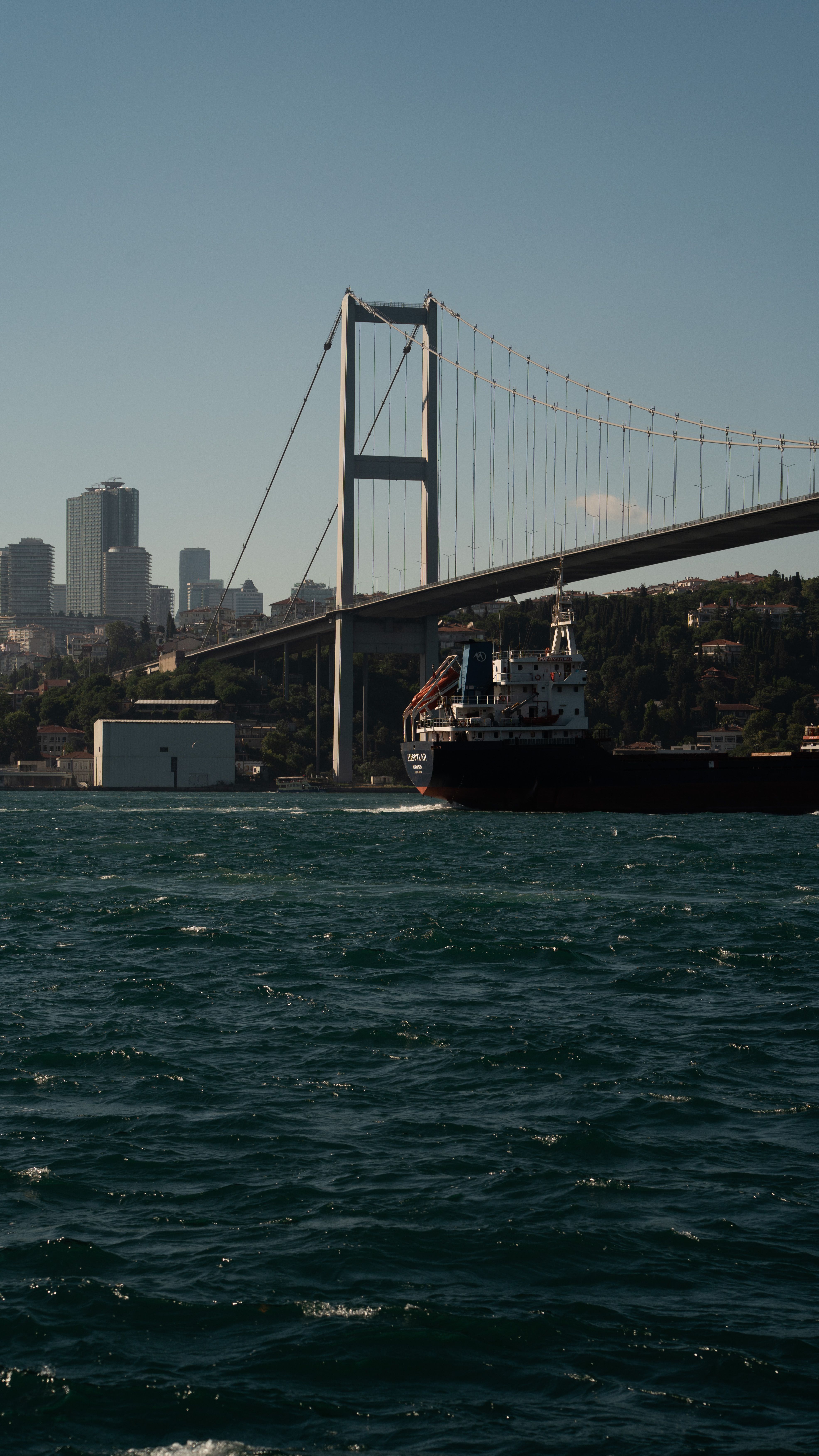 Suspension Bridge Viewed from a Ferry · Free Stock Photo