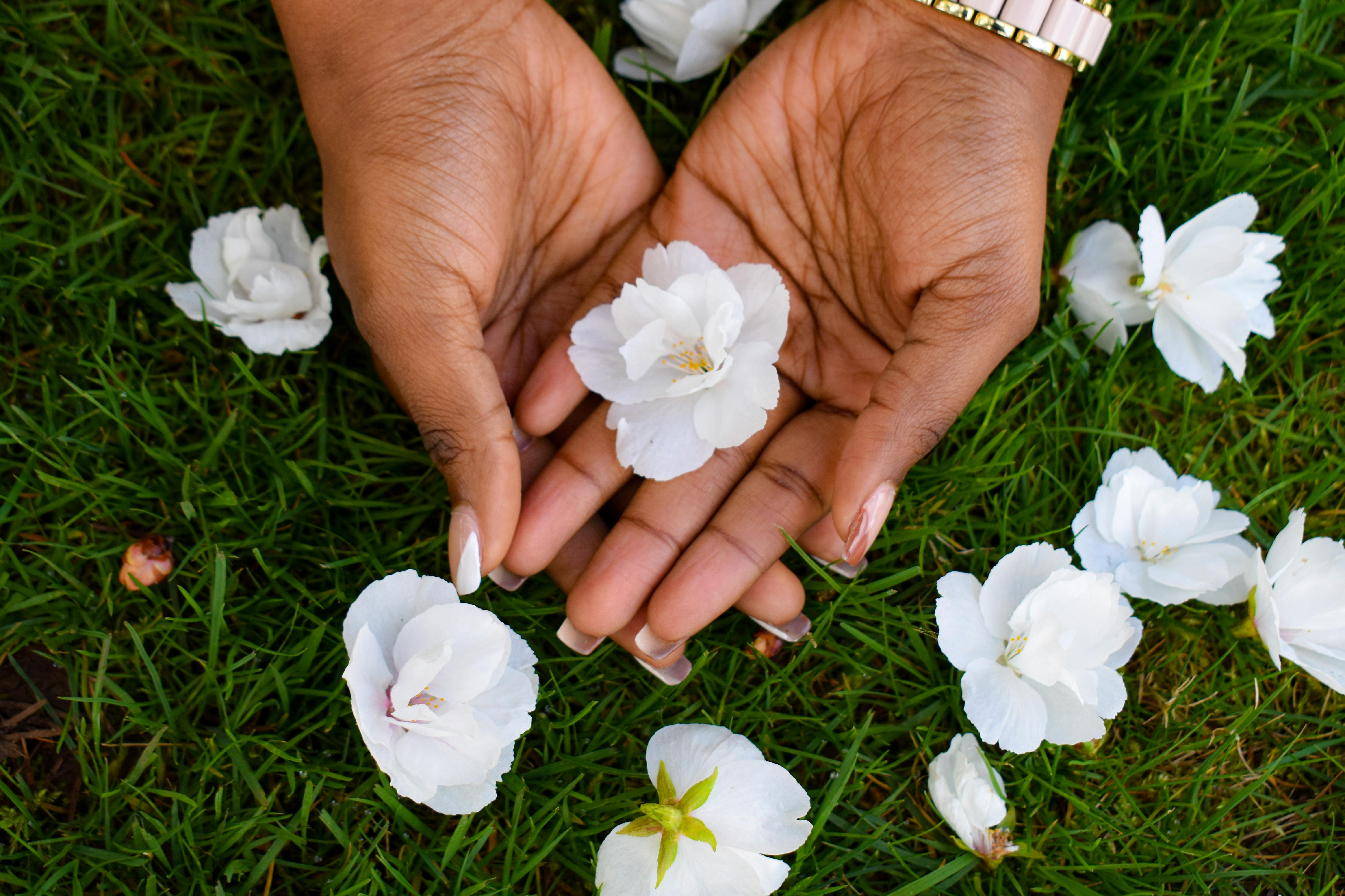 White Flower on Person's Hand · Free Stock Photo