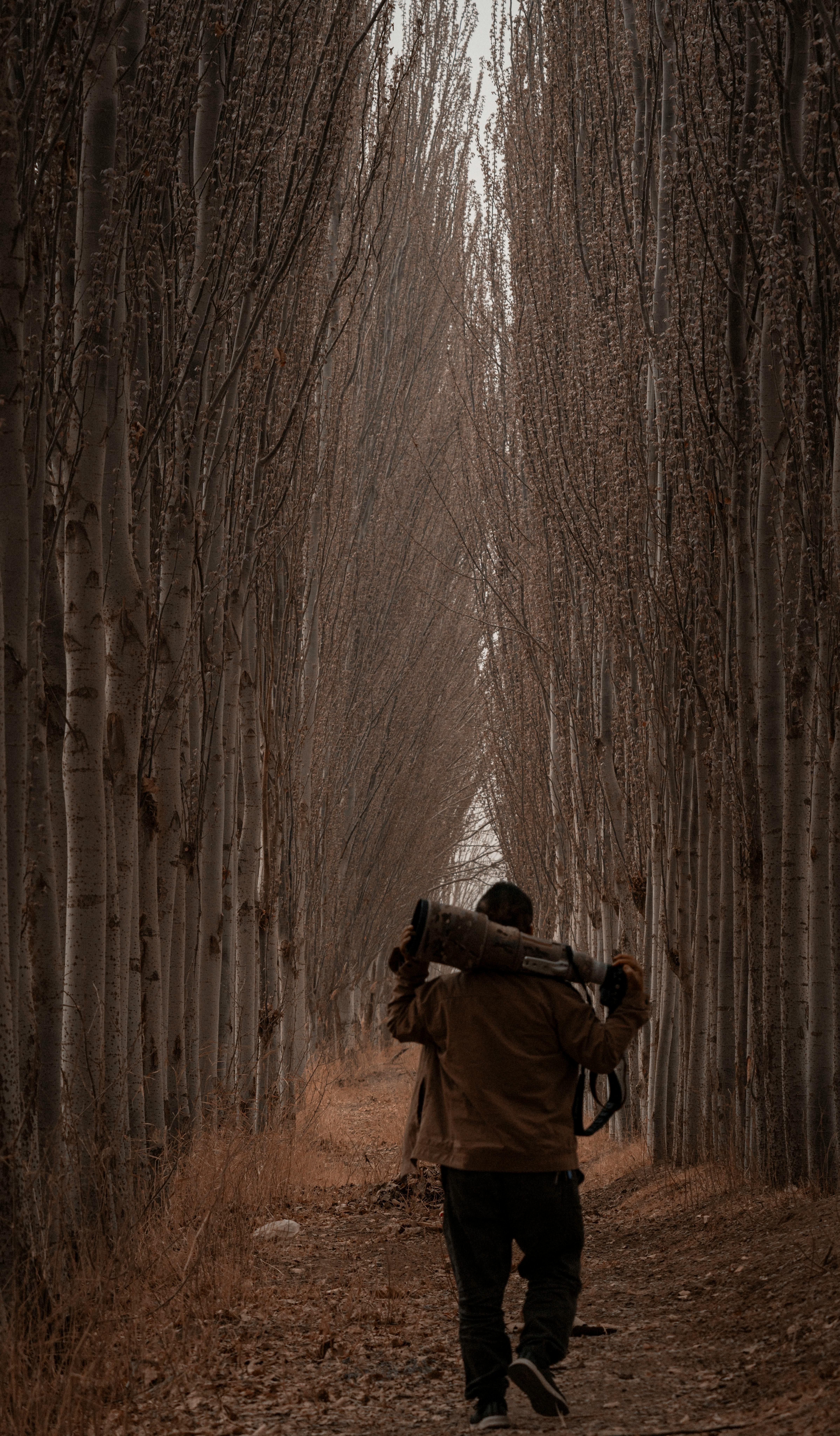 Man Walking through Path between Trees · Free Stock Photo