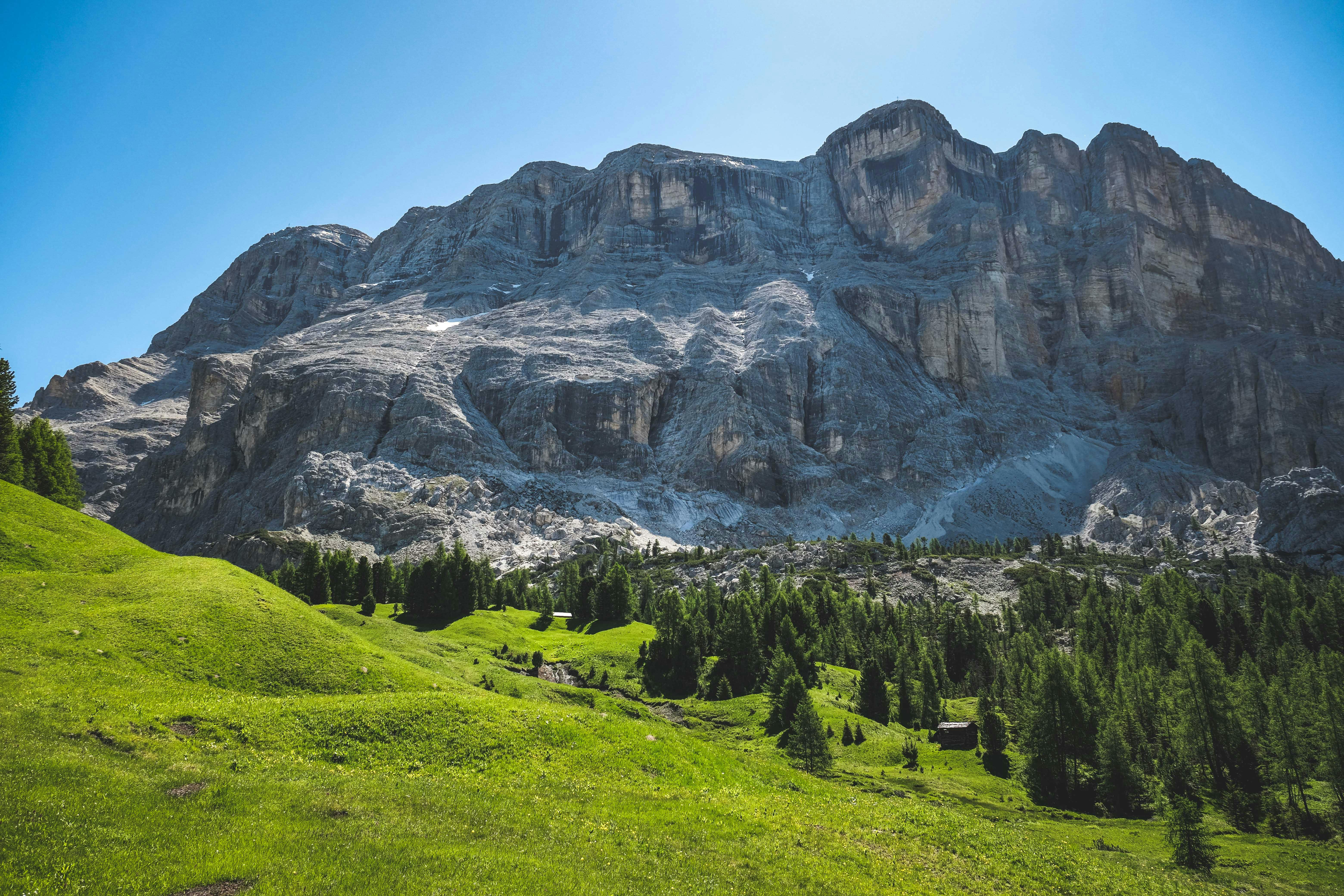 Grassland and Trees near Rock Formation · Free Stock Photo