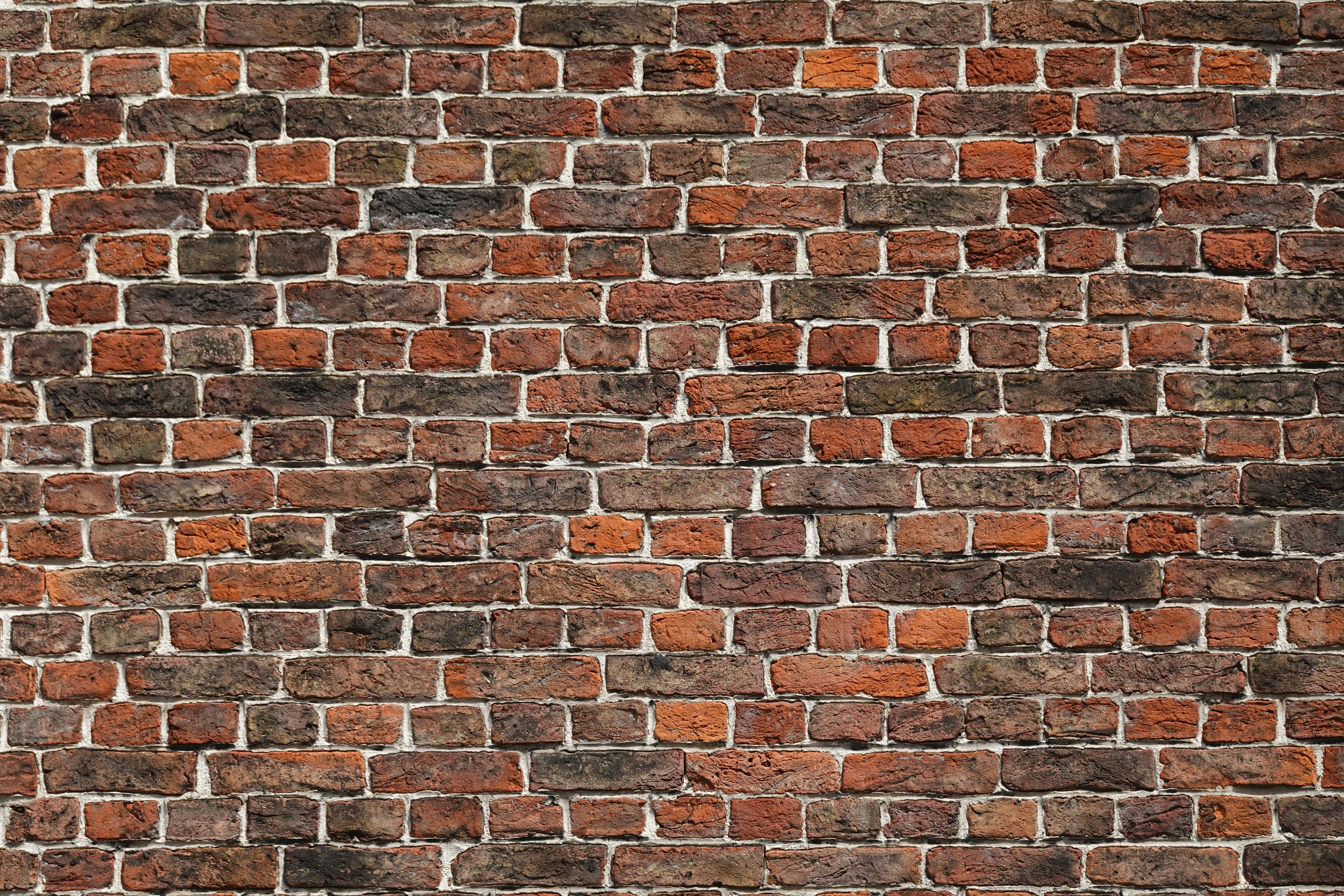 Photo of a Brick Wall · Free Stock Photo