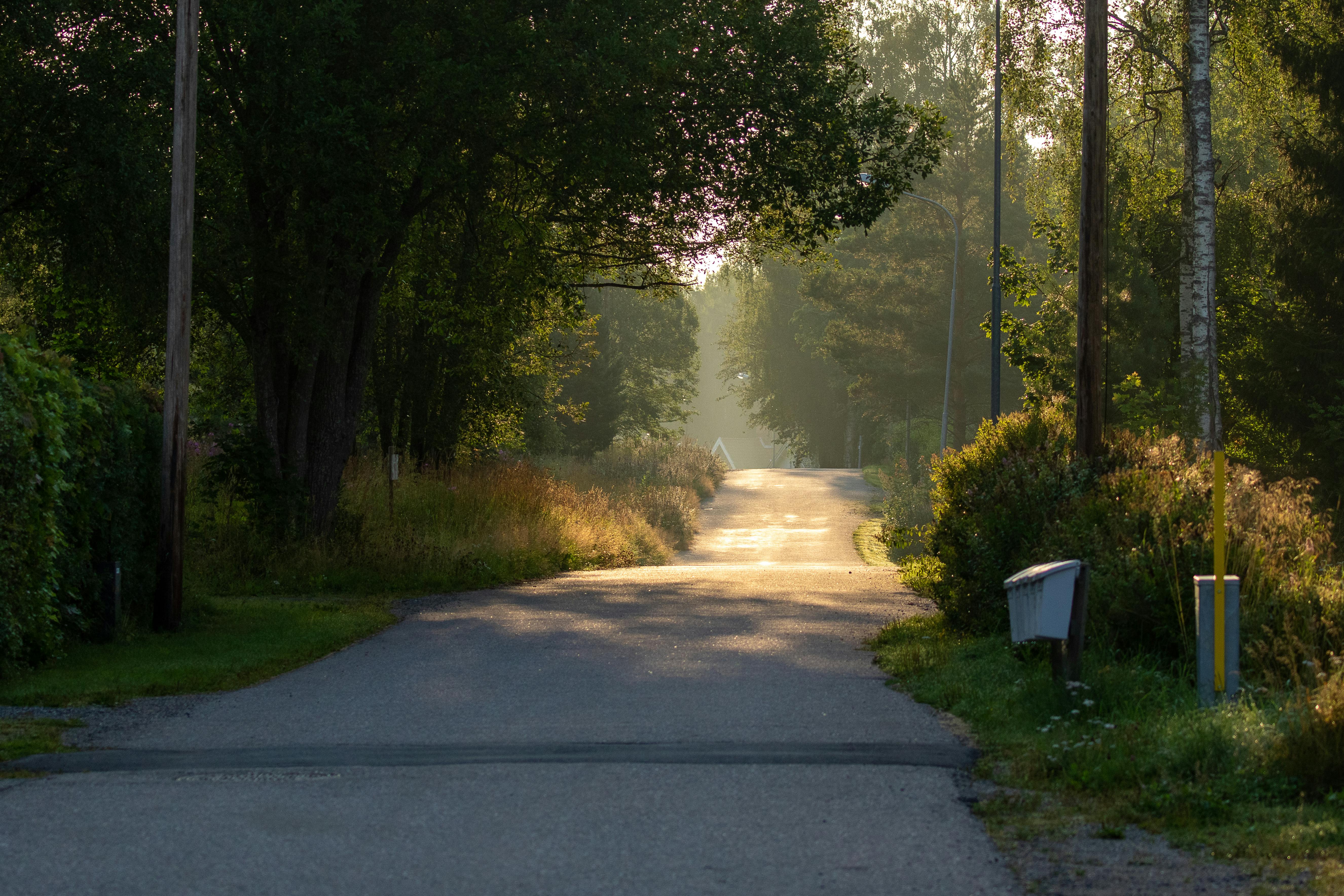Narrow Road in the Countryside · Free Stock Photo