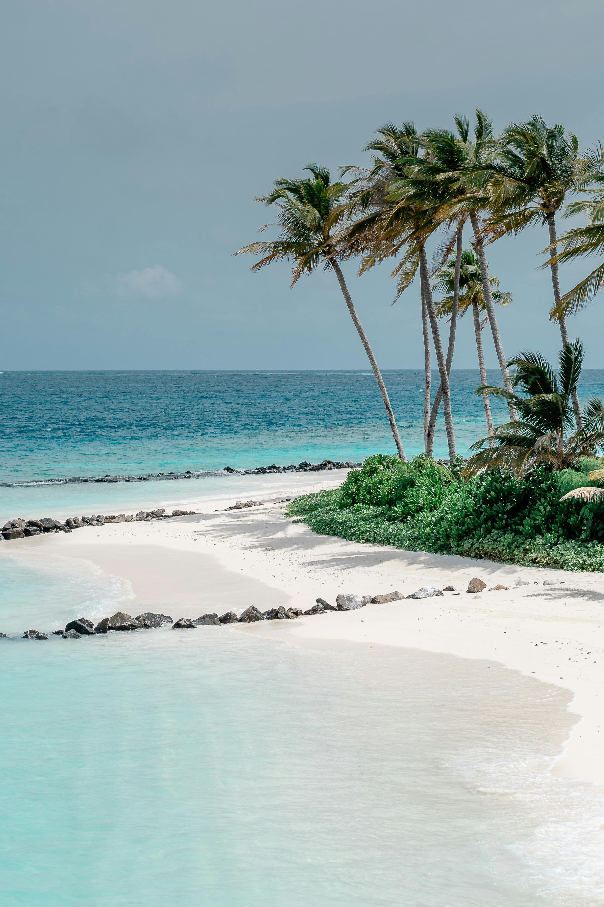 Scenic Tropical Beach · Free Stock Photo