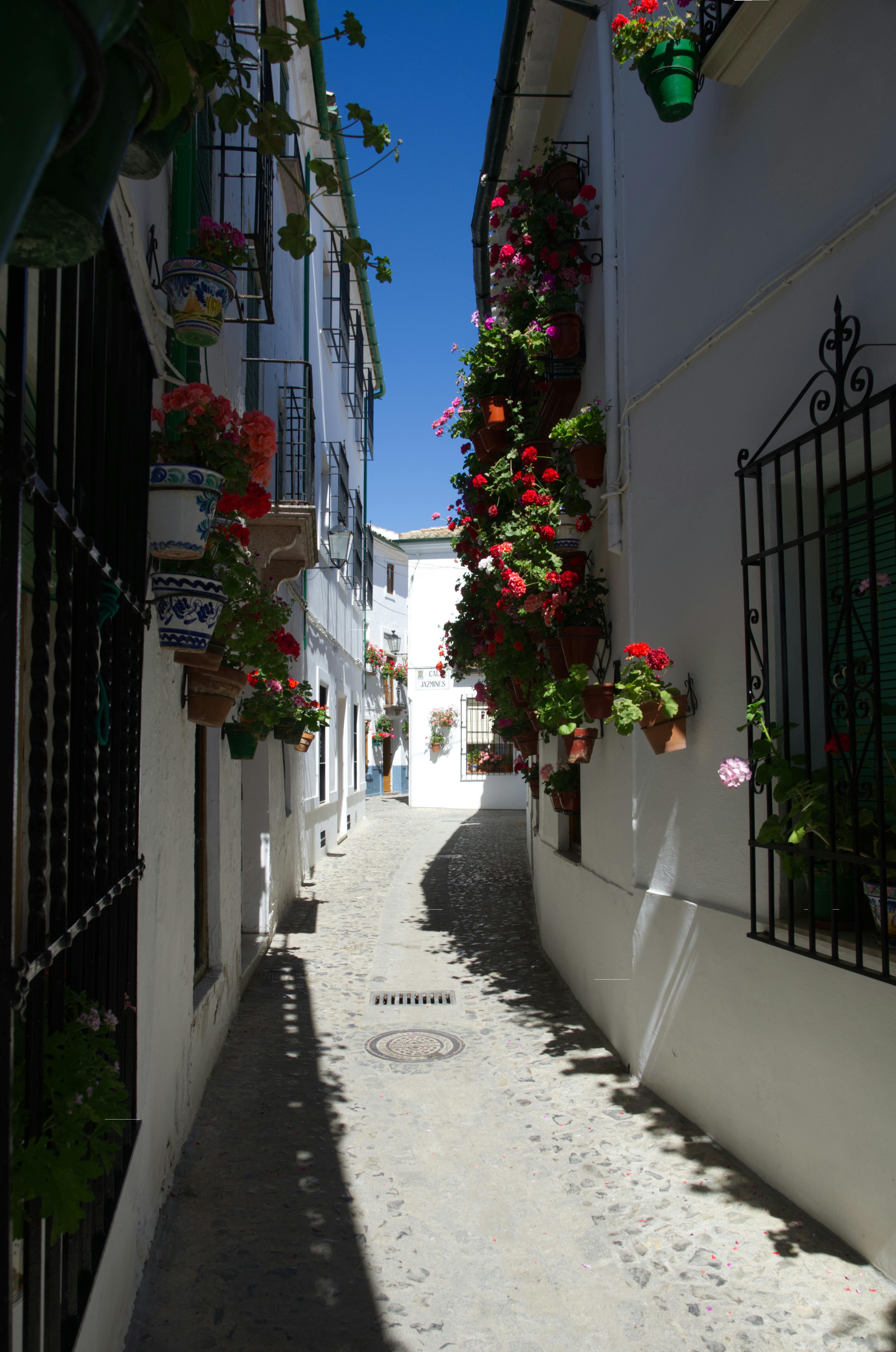 Photo of an Alley with Street Lamps · Free Stock Photo