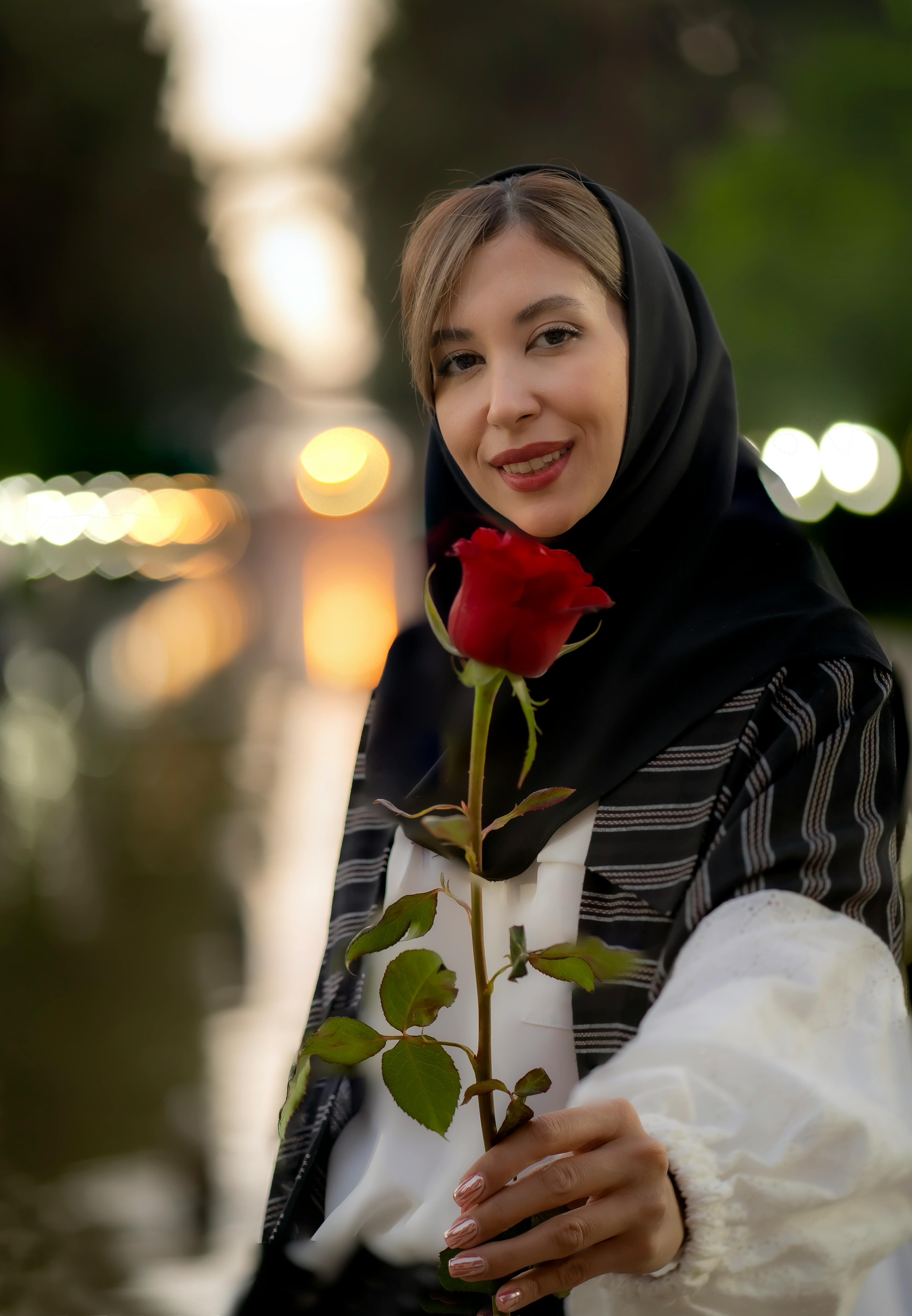 Iranian Rose Photos, Download The BEST Free Iranian Rose Stock Photos ...