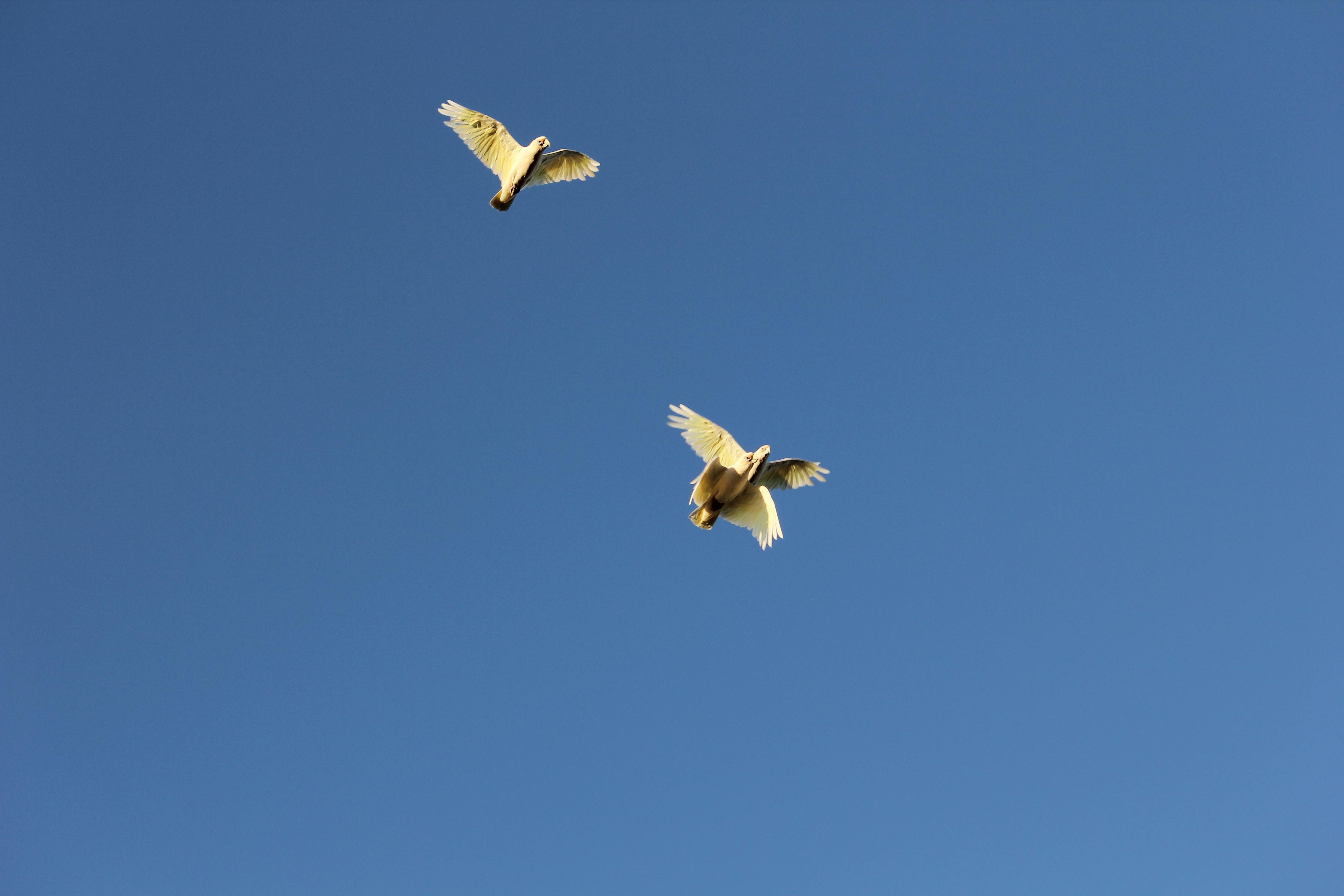 Claudia Franks - 사진