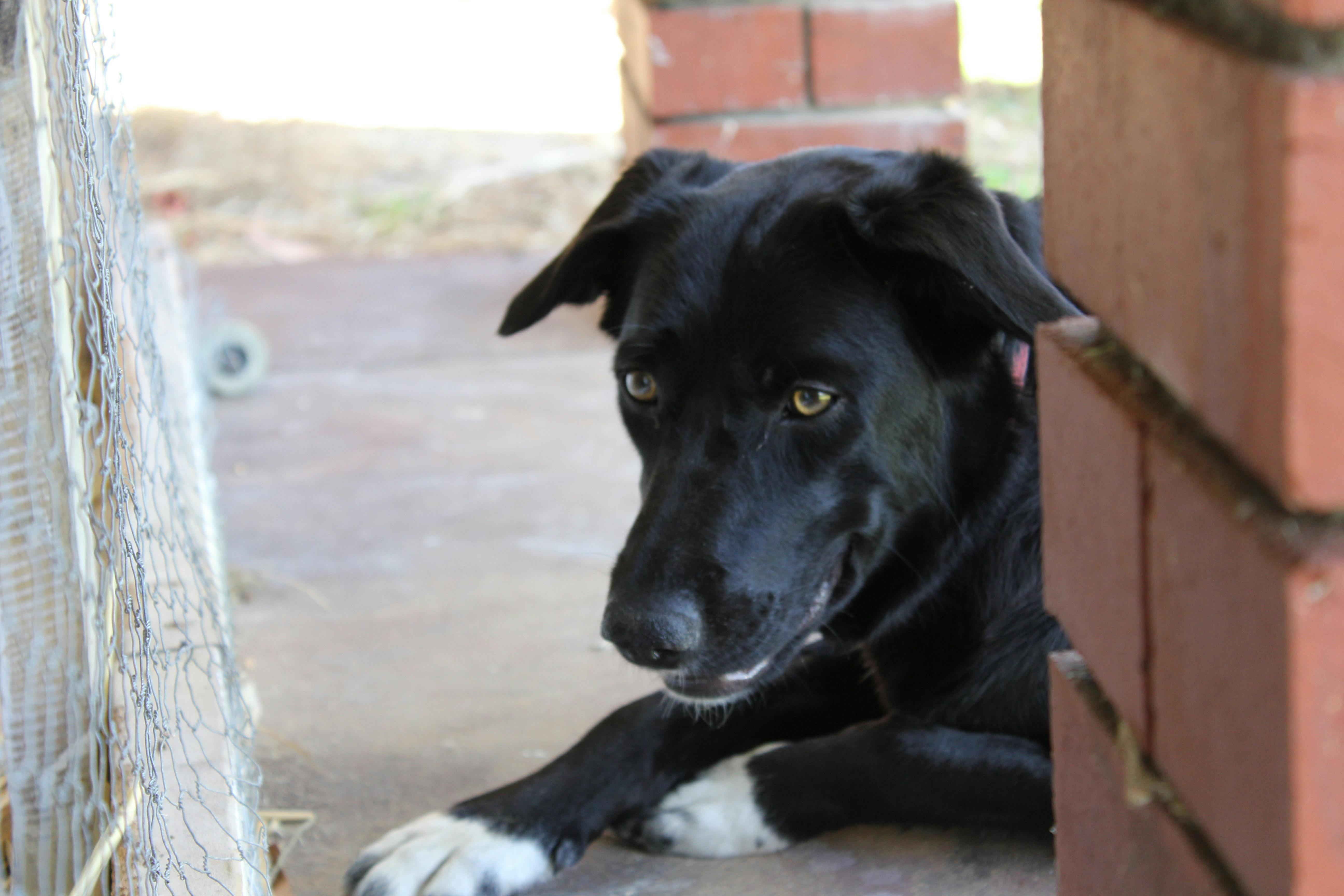 Claudia Franks - 攝影