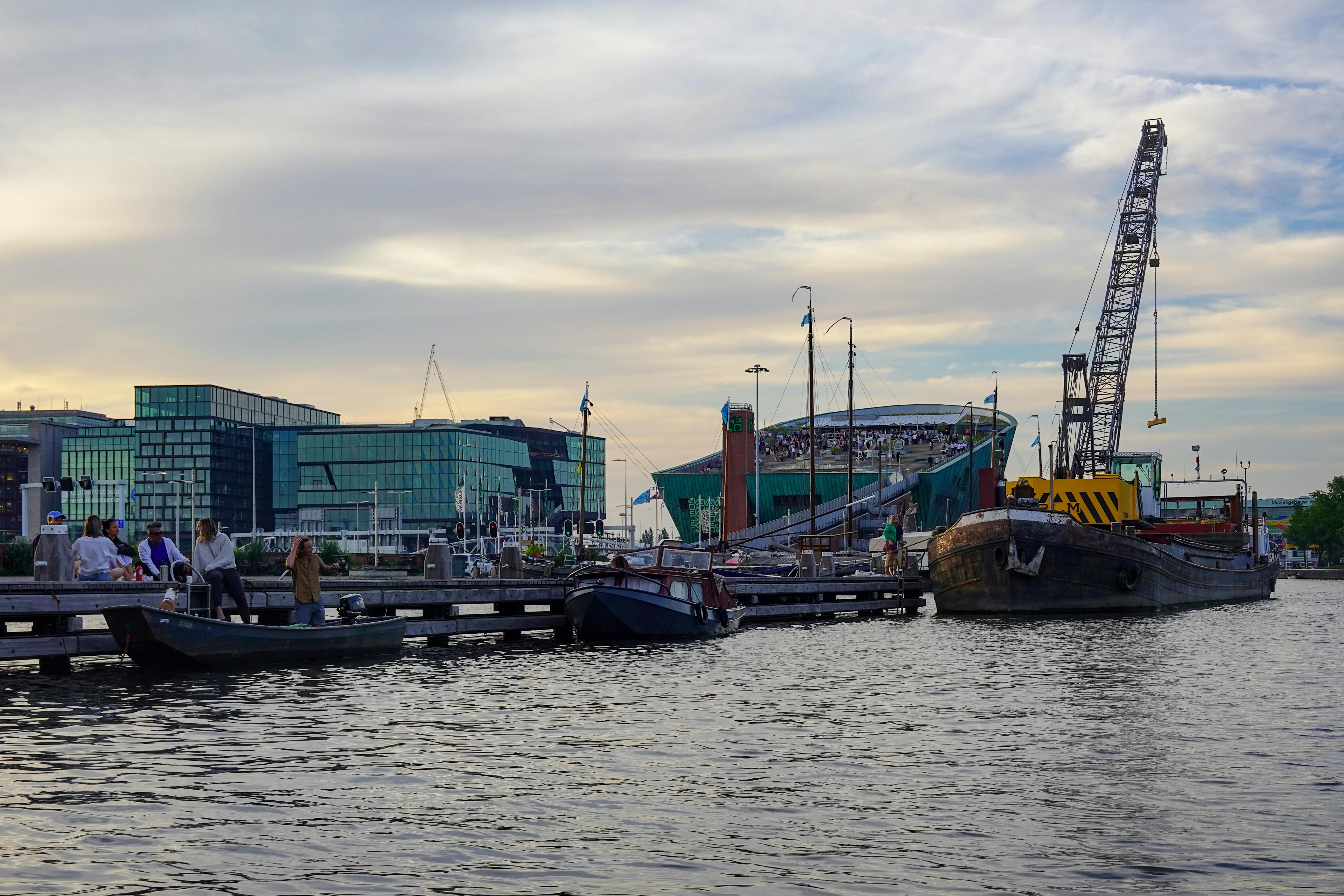 Nemo Photos, Download The BEST Free Nemo Stock Photos & HD Images