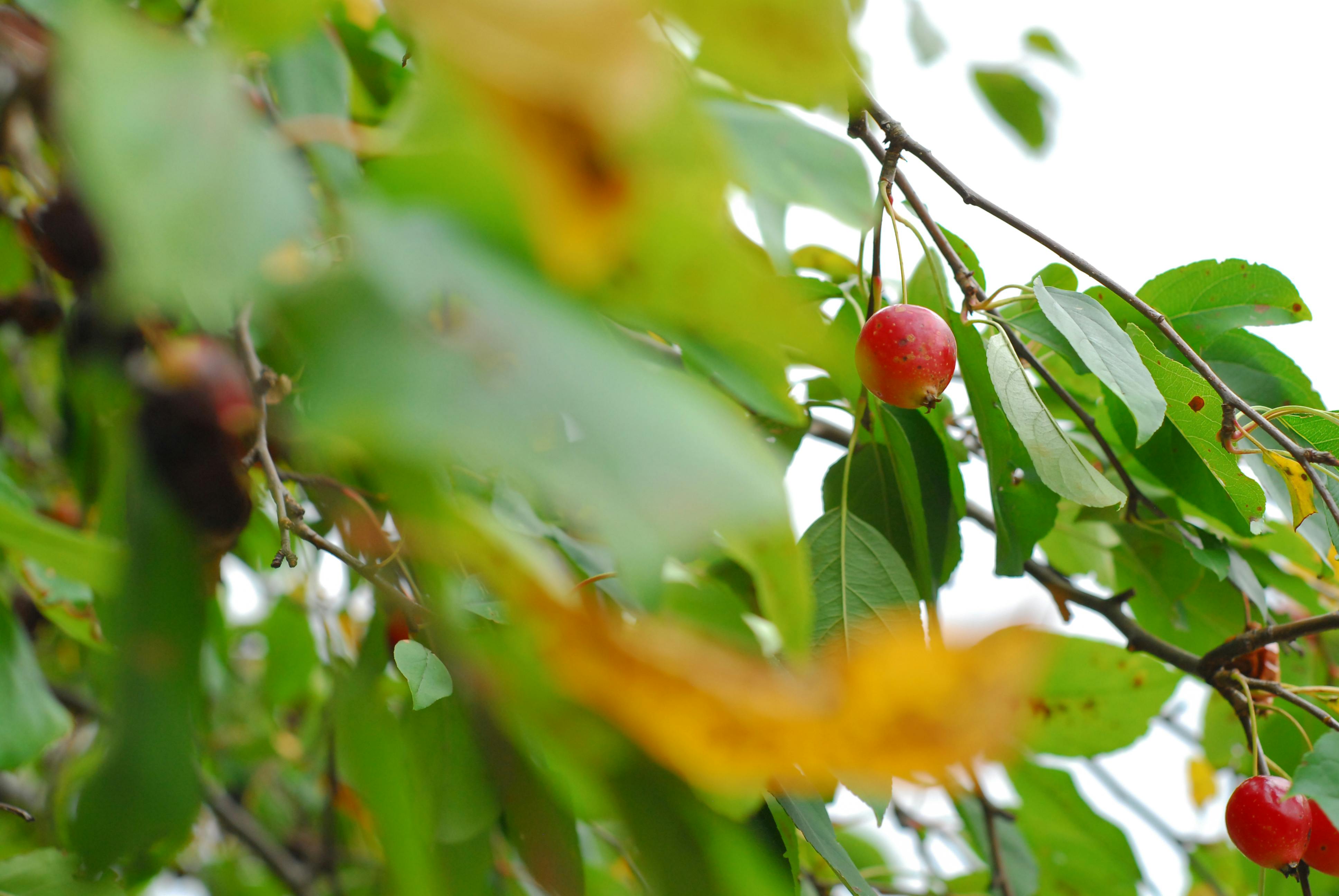 Haley Dolan - 사진