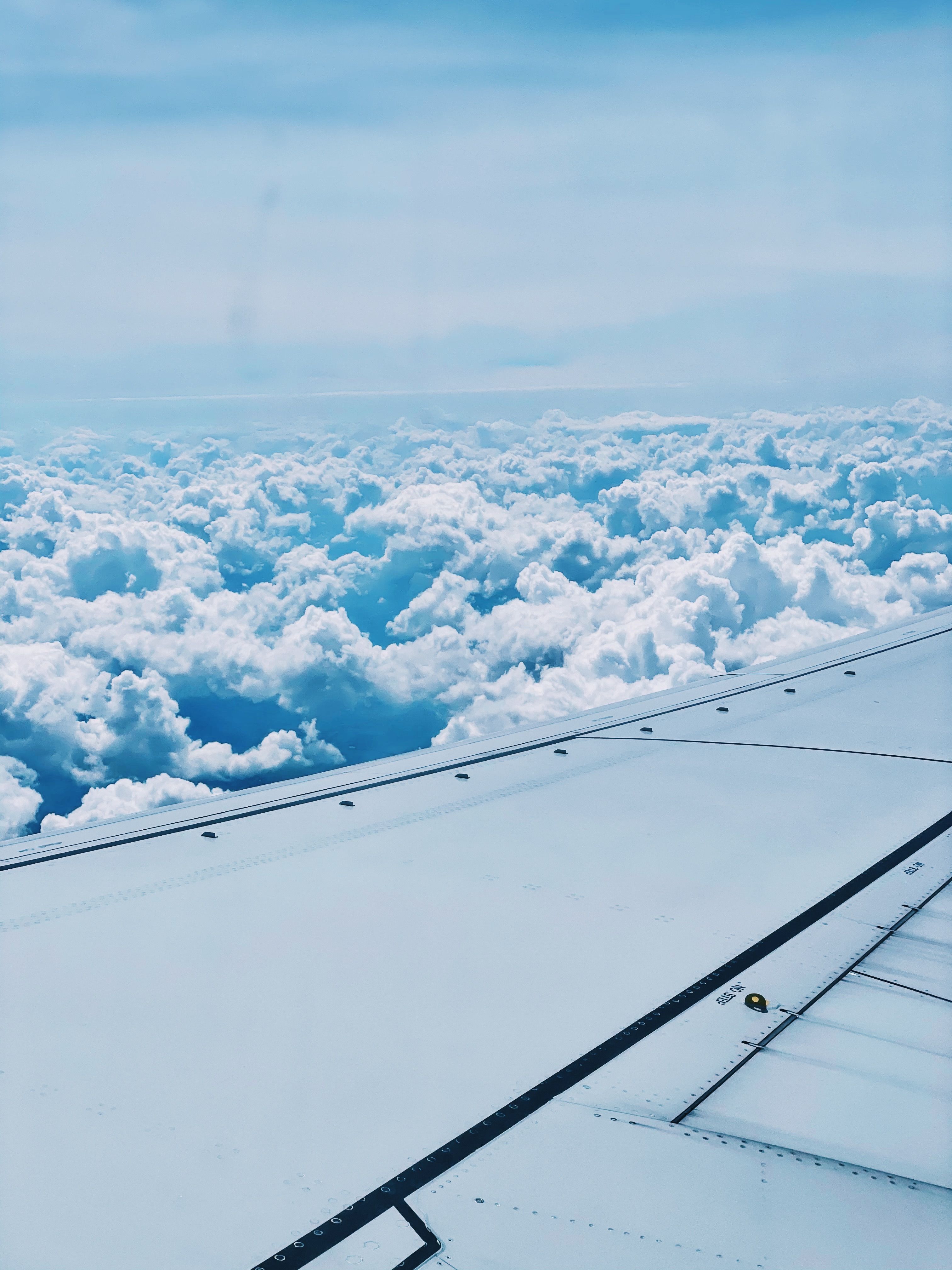 Flight Sky Photos, Download Free Flight Sky Stock Photos & HD Images