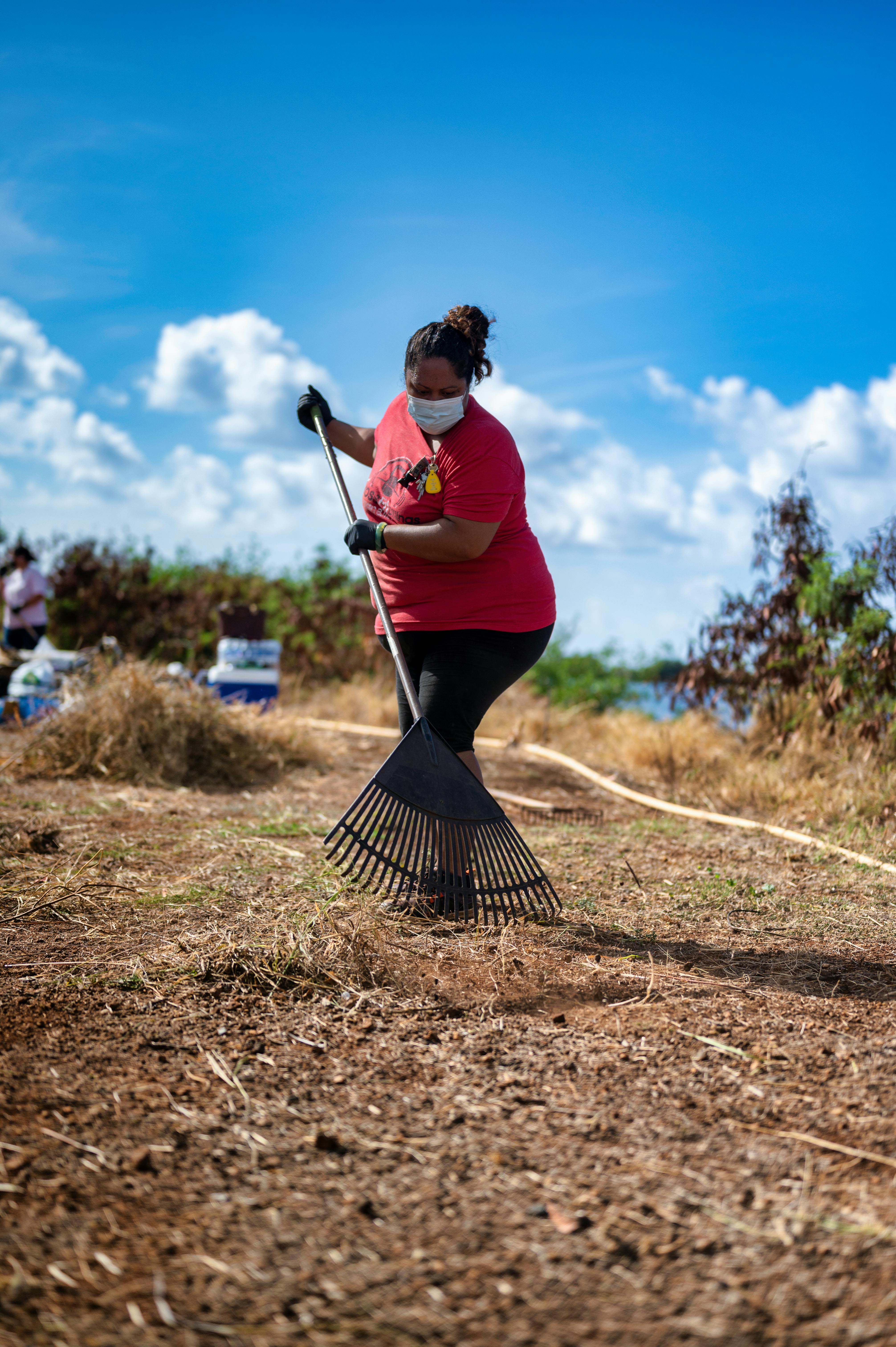 Woman Working with Rake · Free Stock Photo
