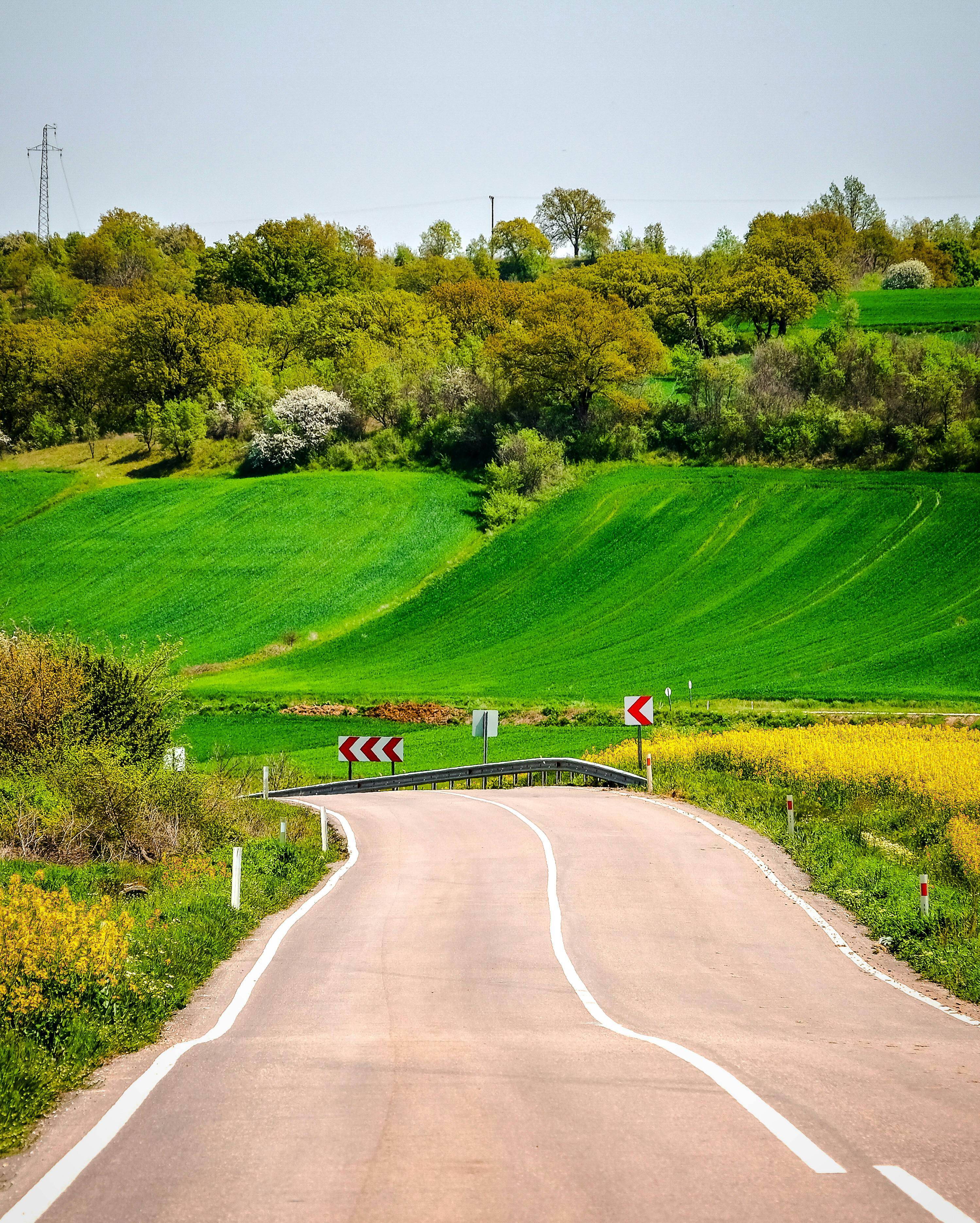 Grass field Next to Asphalt Road · Free Stock Photo