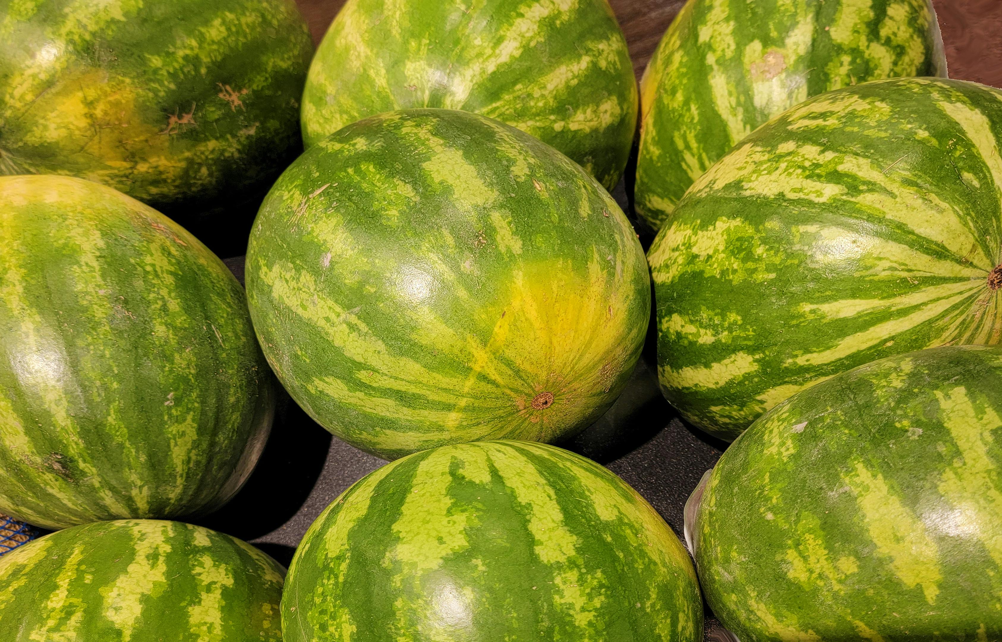 Food 42 Photos & Videos Collected by Christopher Moon