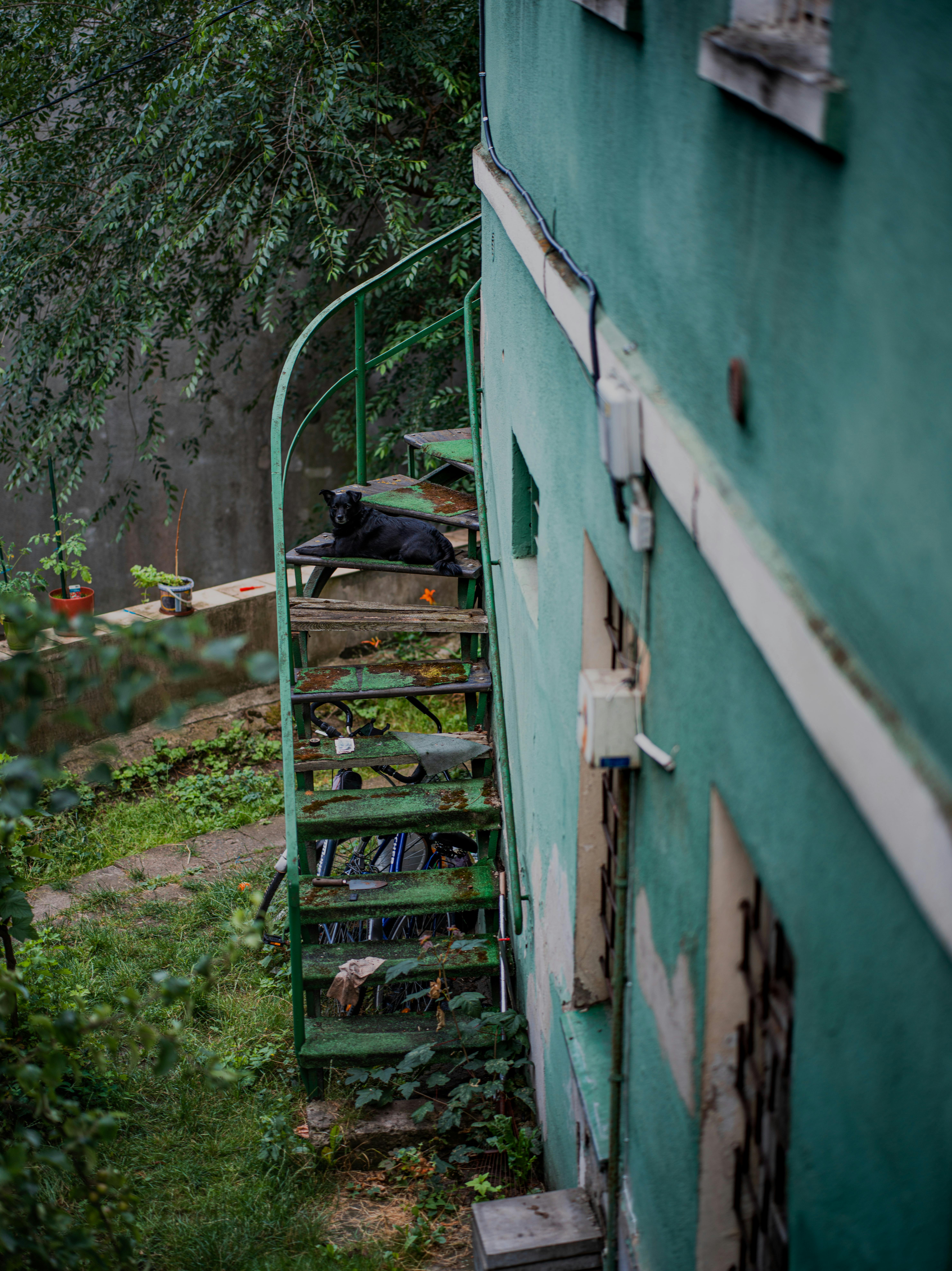 Green Stairs Beside a House · Free Stock Photo