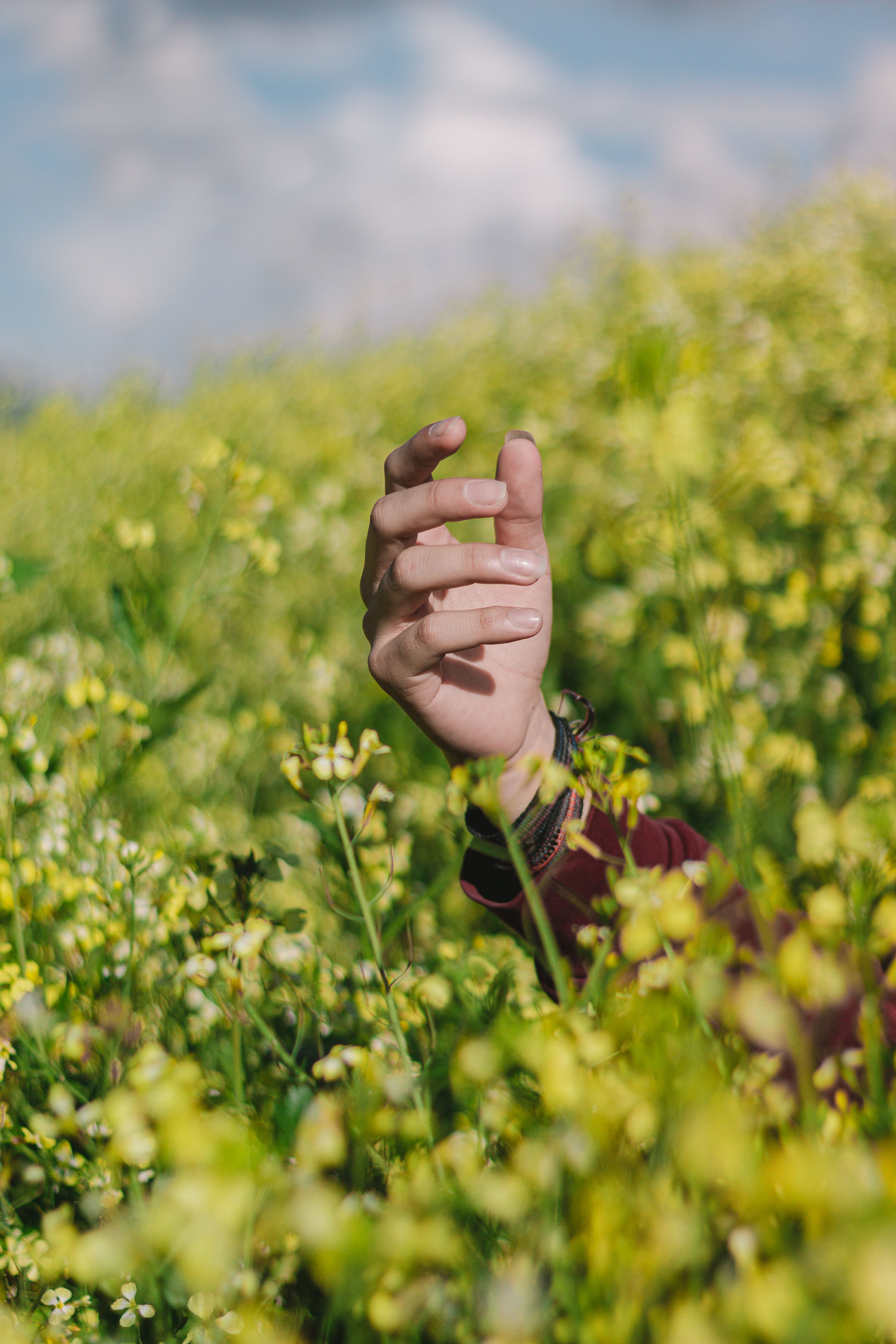 Hand In Flowers Photos, Download The BEST Free Hand In Flowers Stock ...