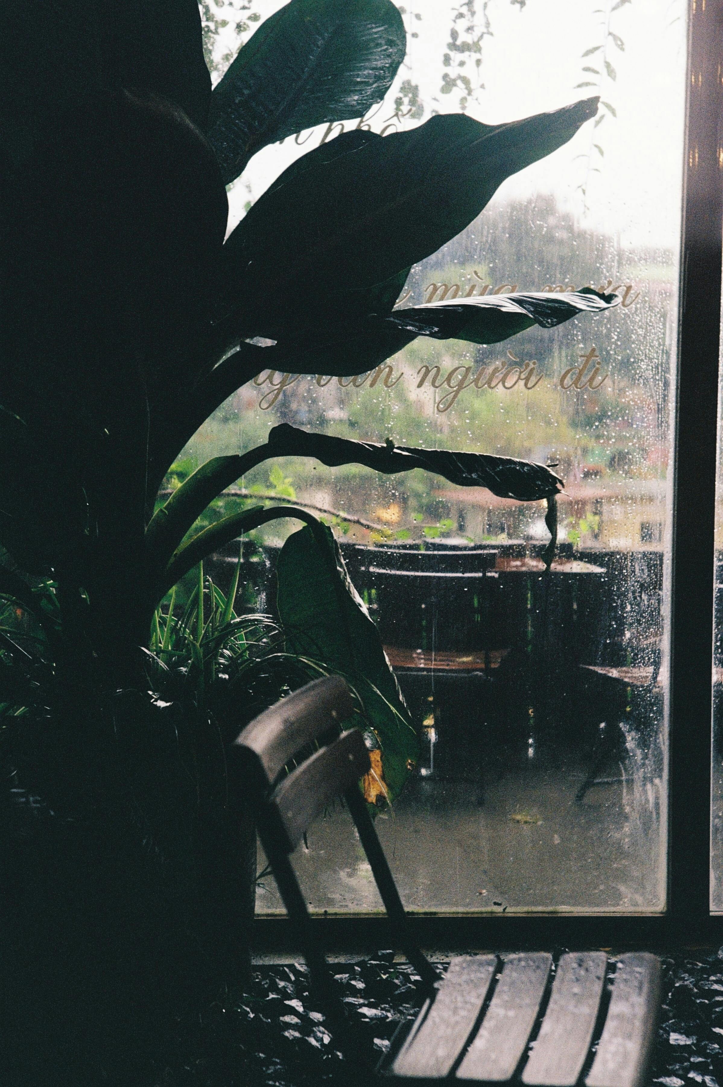 Raining In Cafe Photos, Download The BEST Free Raining In Cafe Stock ...