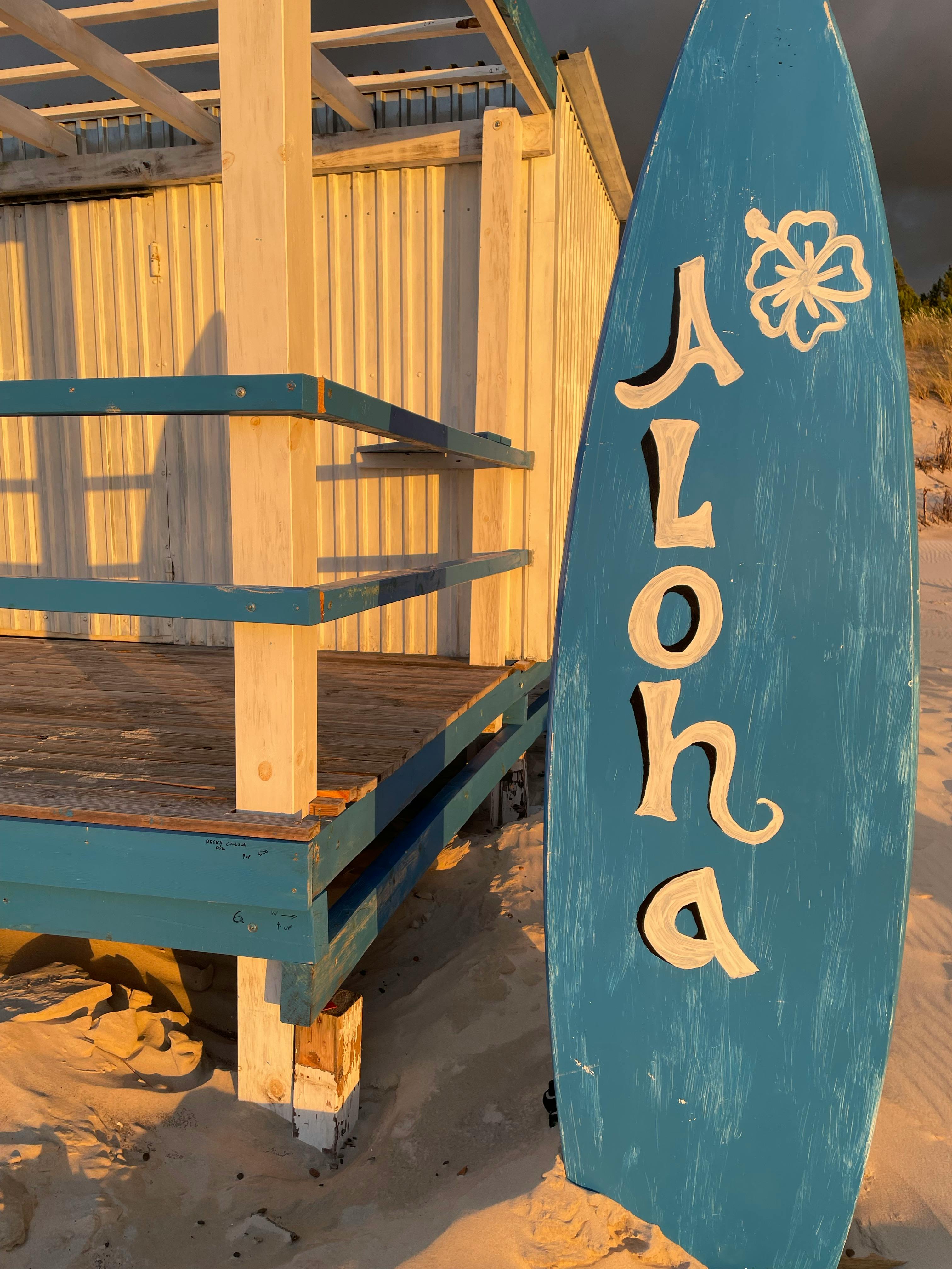 Aloha Sign on Beach · Free Stock Photo