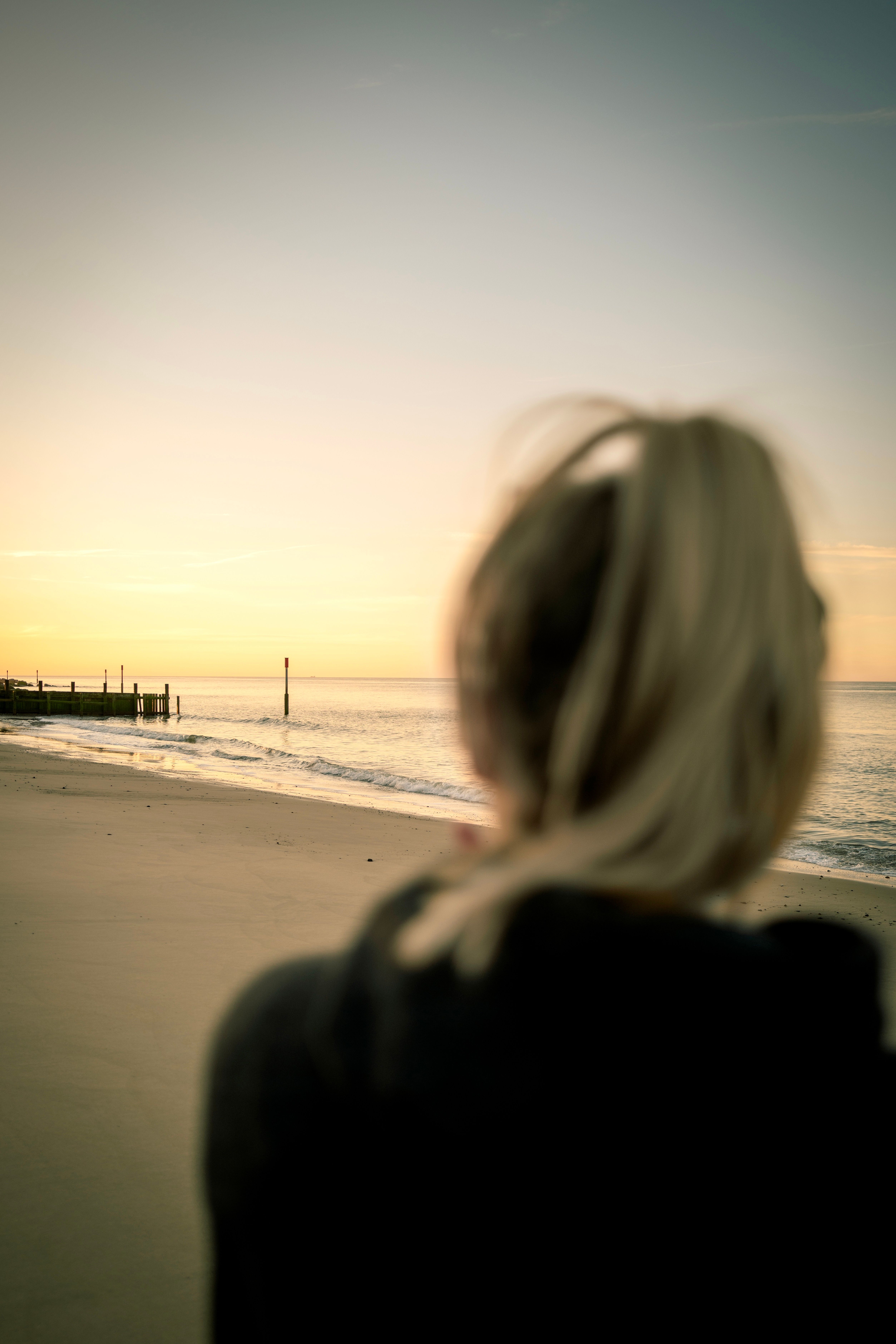 Woman With Long Hair Sitting · Free Stock Photo