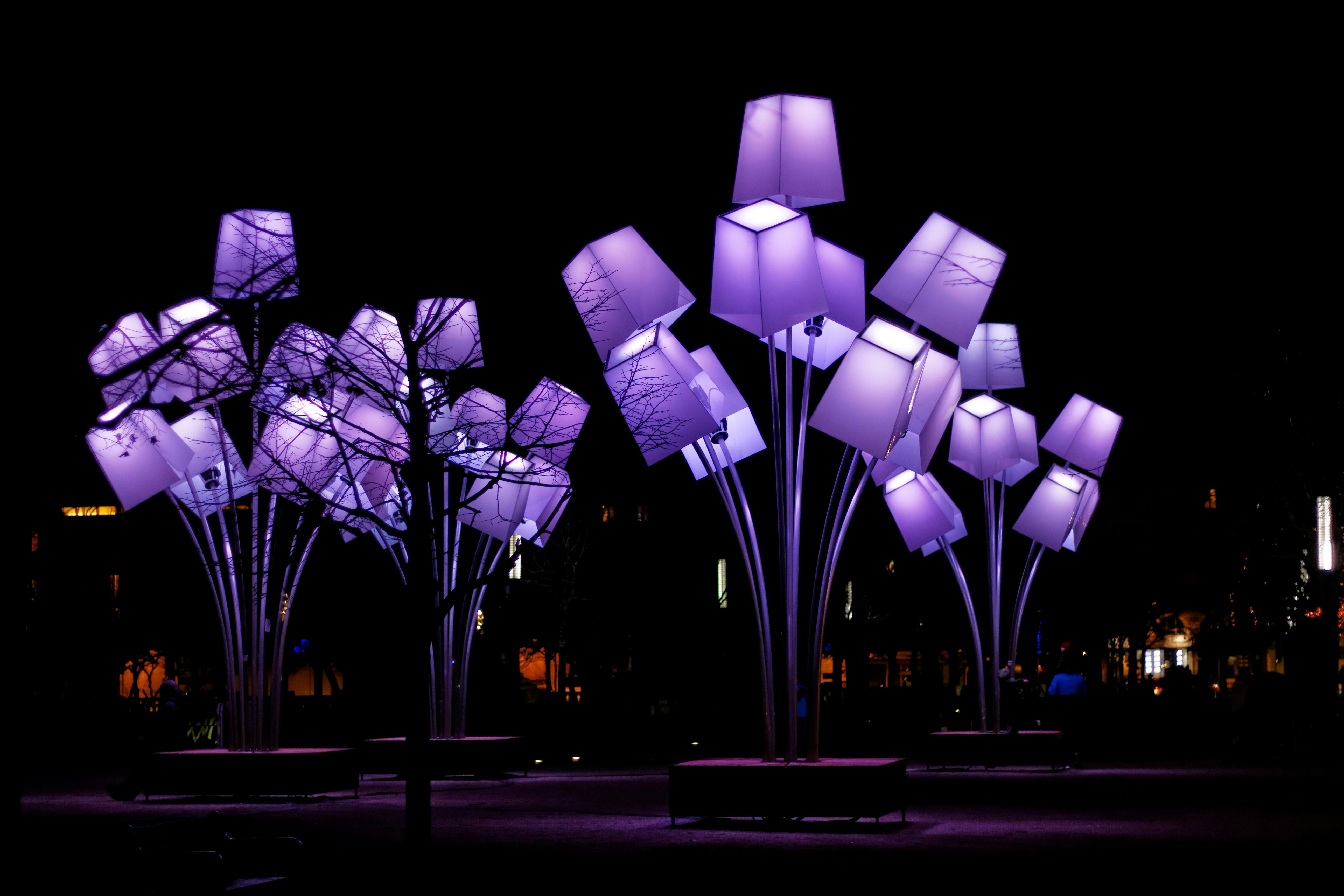 Photograph of Purple Lights · Free Stock Photo