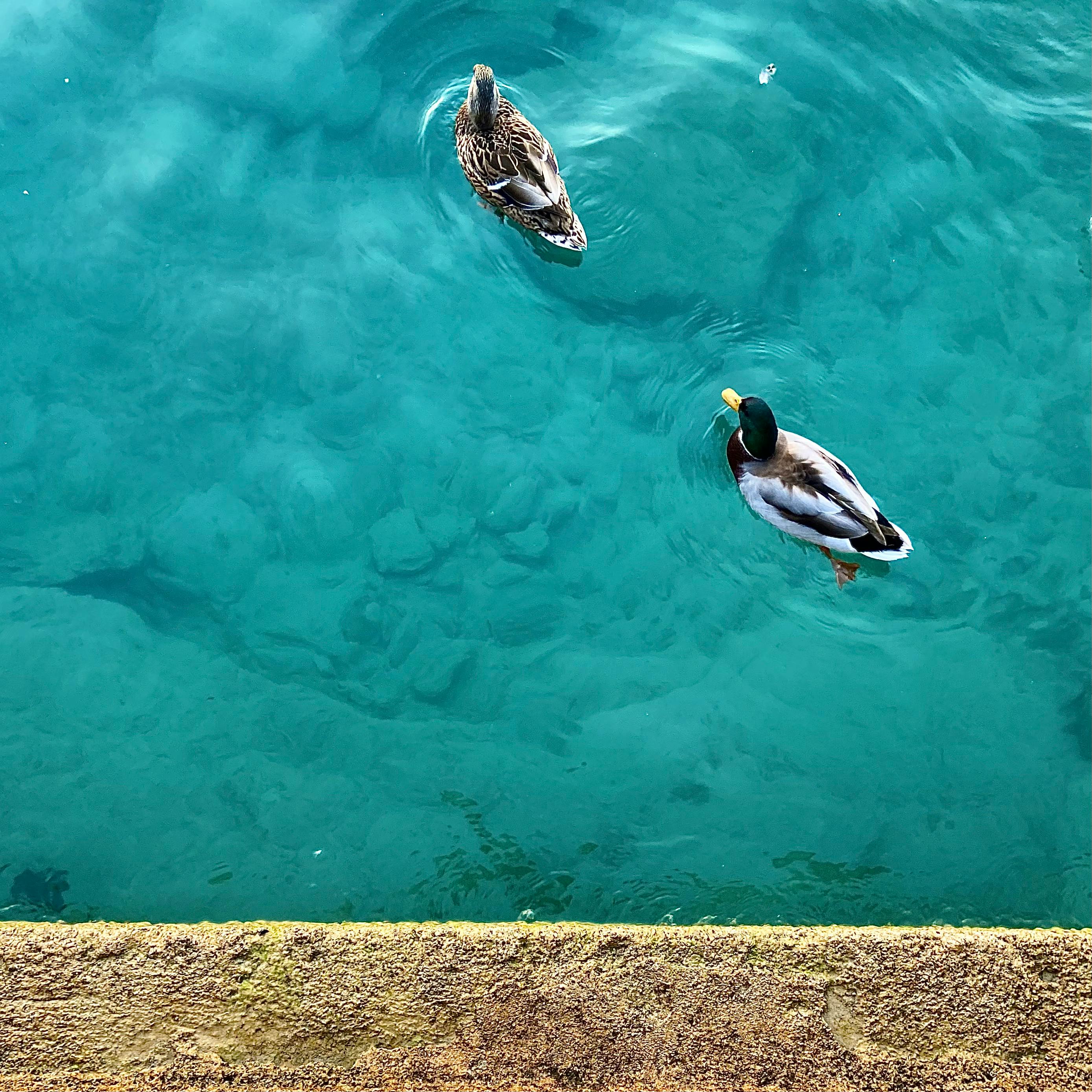 Hanqing Zhao - Fotografía