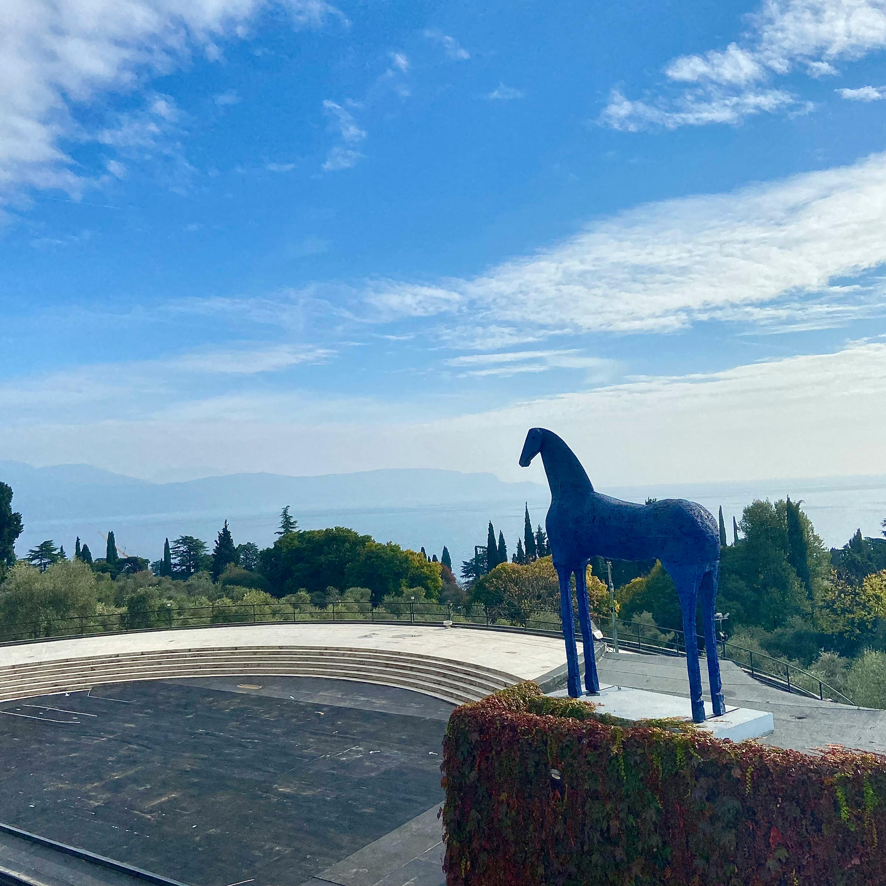 Hanqing Zhao - Fotografía