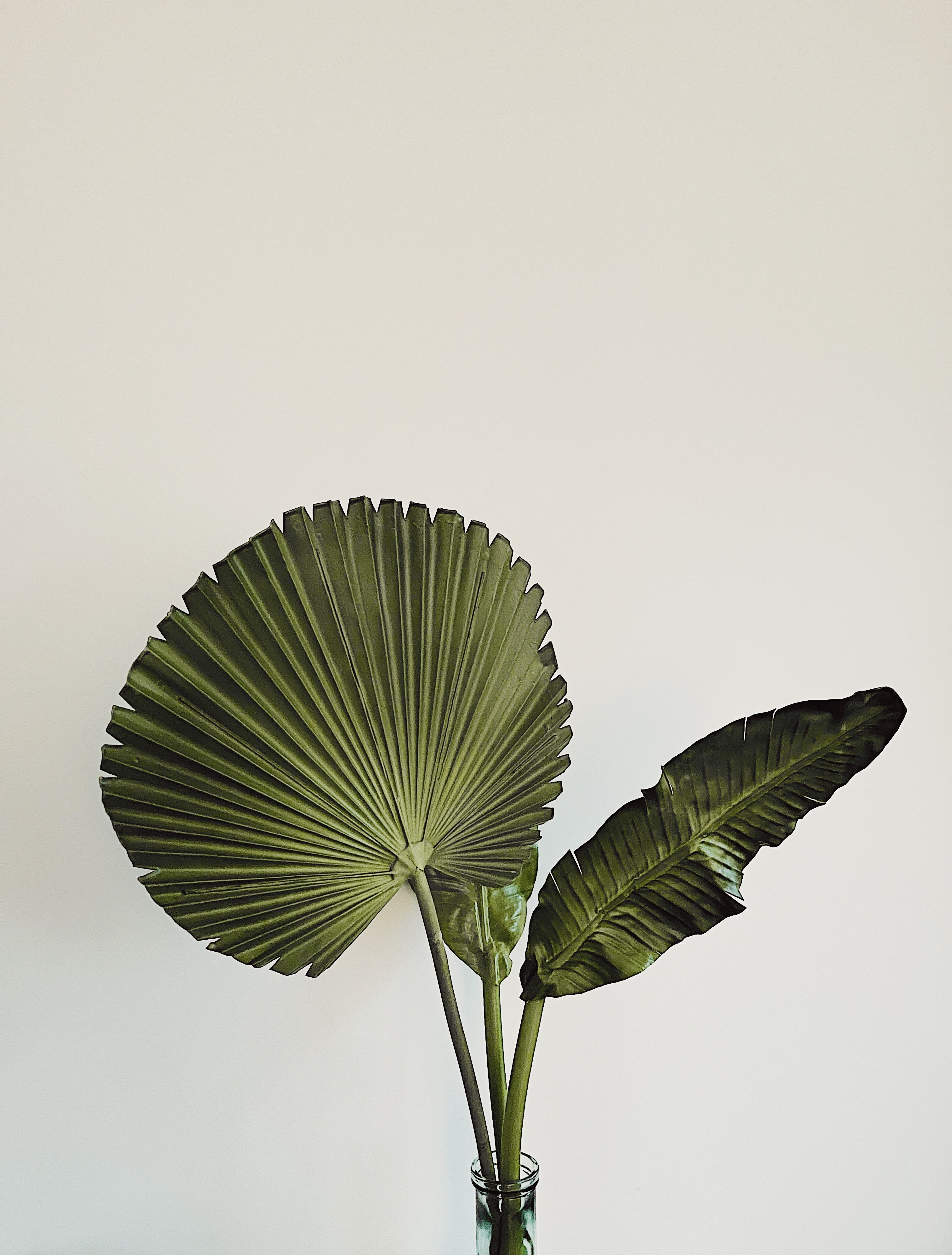 Visual Calming Photos, Download The BEST Free Visual Calming Stock ...