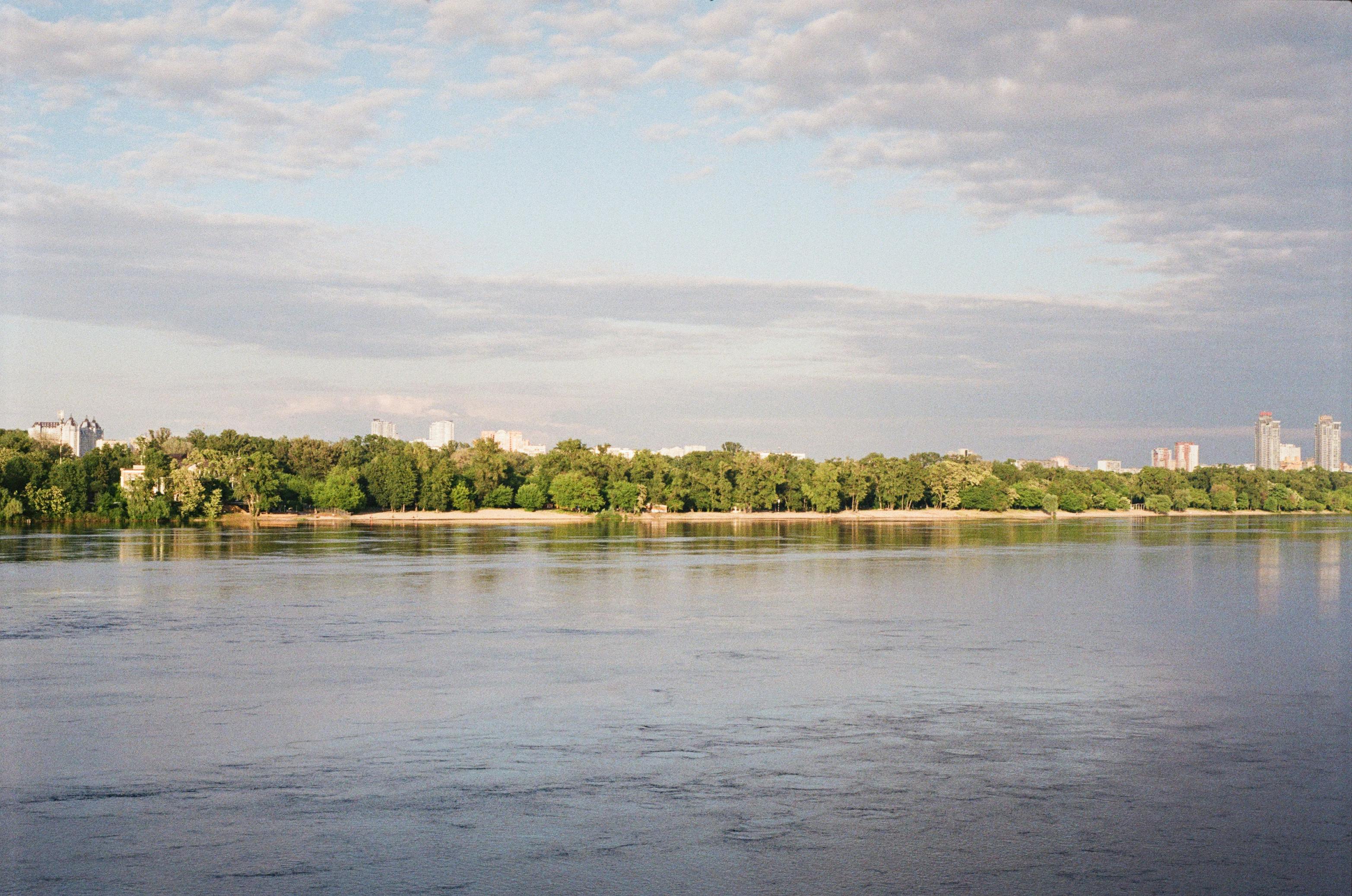 Aerial Photography Forest Near Water · Free Stock Photo