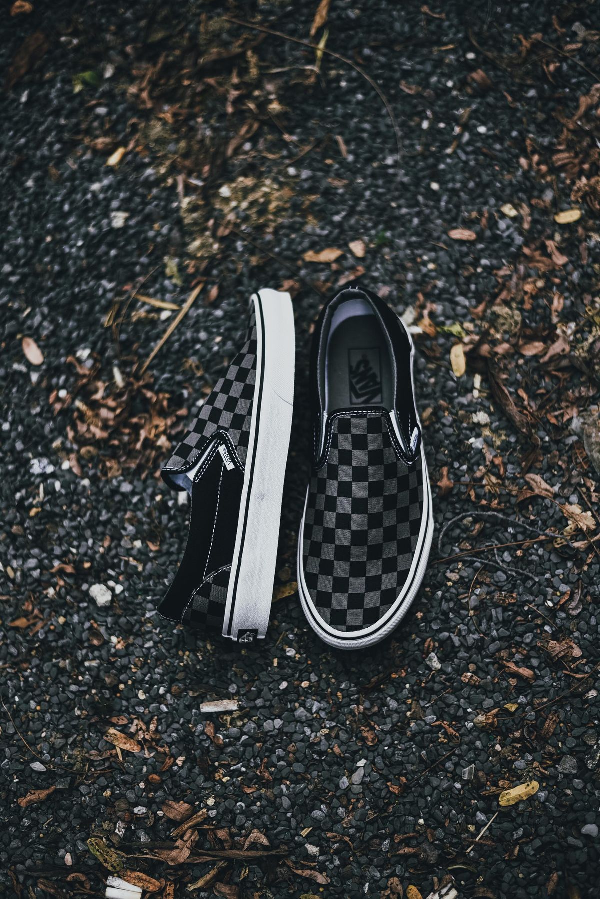 2.000+ Foto Mucosa Of Vans Deferens Terbaik · Unduh Gratis 100% · Foto ...