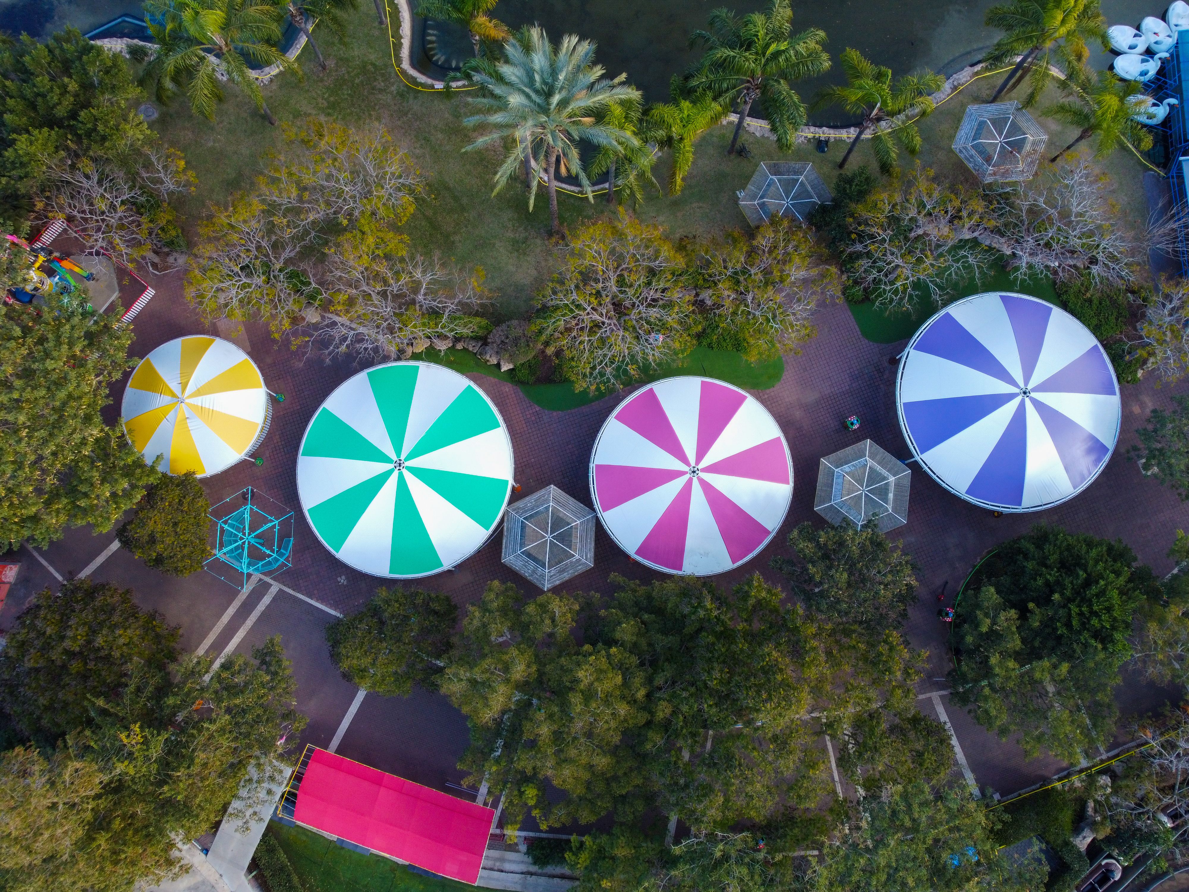 Drone Shot of Parasols and Trees · Free Stock Photo