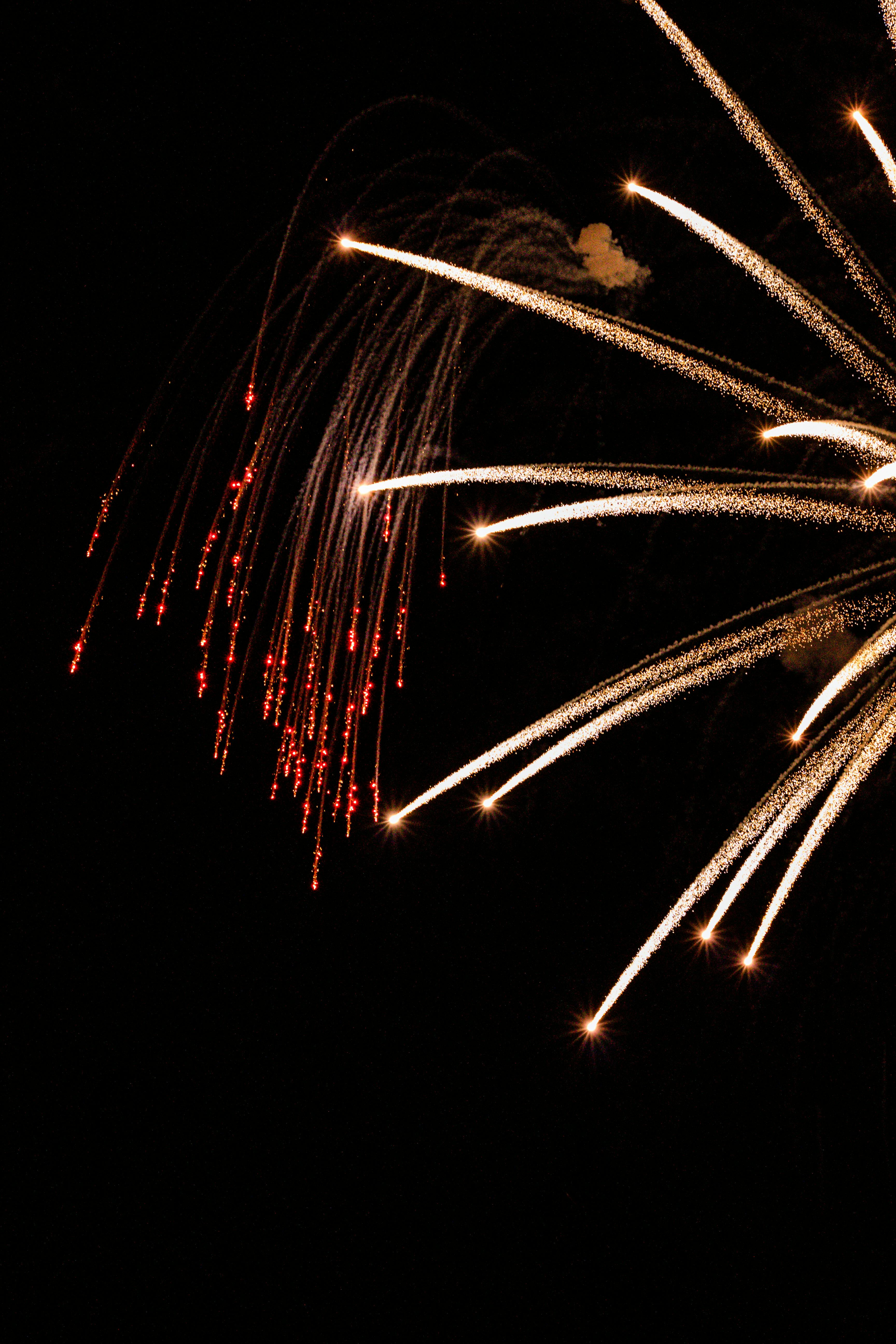 Blue and Red Brocade Fireworks at Night · Free Stock Photo